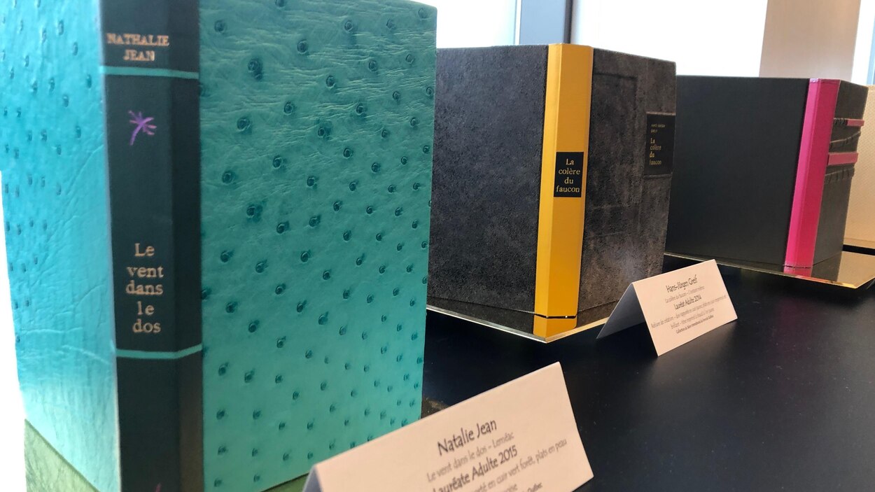 60e Salon international du livre de Québec : des oeuvres reliées qui ...