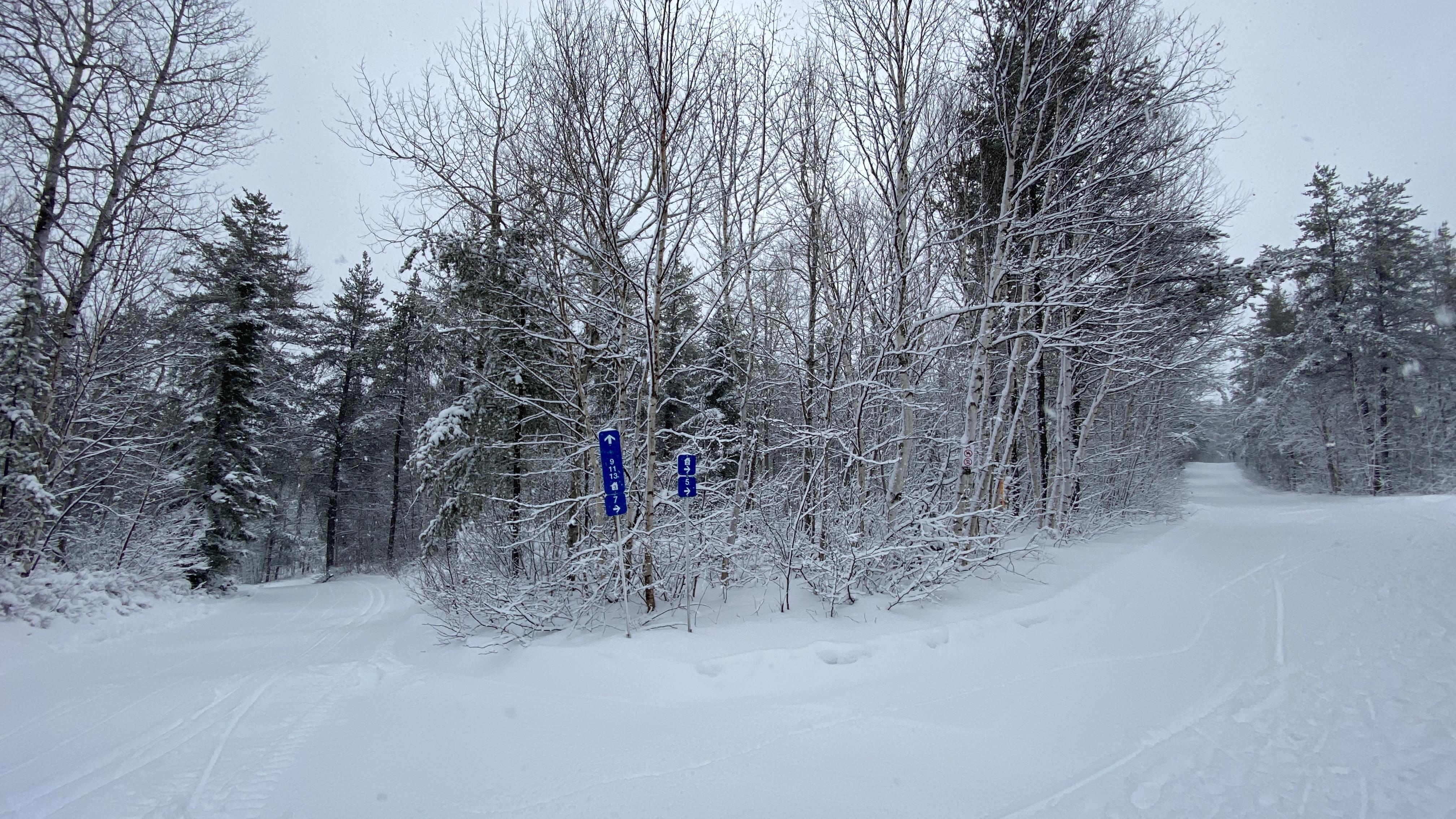 Suggestions d'activités pour divertir la visite en Abitibi-Témiscamingue | OHdio | Radio-Canada
