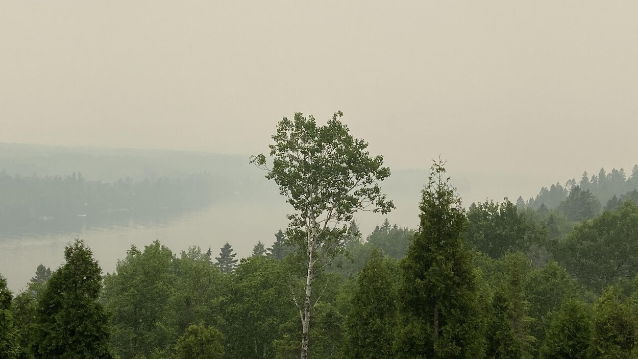 Subir le smog quand on est atteinte de fibrose kystique | Radio-Canada