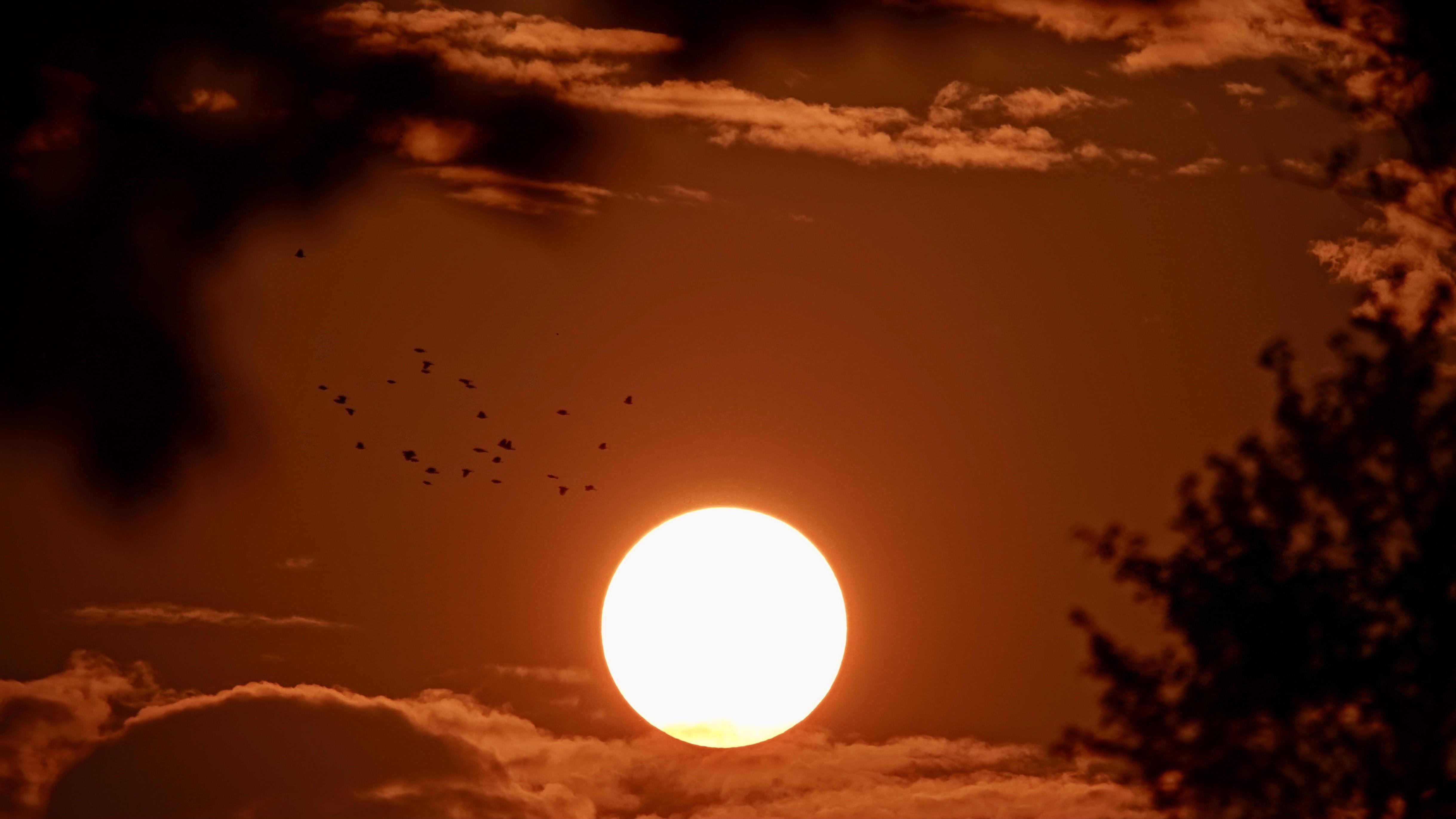 L’été 2023 aurait été le plus chaud dans l’hémisphère Nord depuis 2000 ...