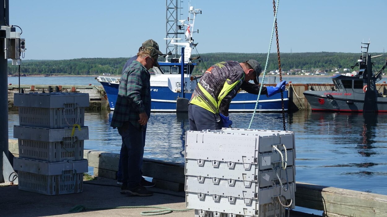 Les pêcheurs pélagiques au parlement, à Ottawa | Radio-Canada