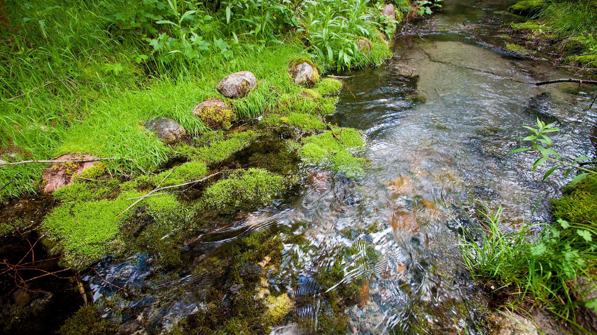 Authier fête ses 100 ans | OHdio | Radio-Canada