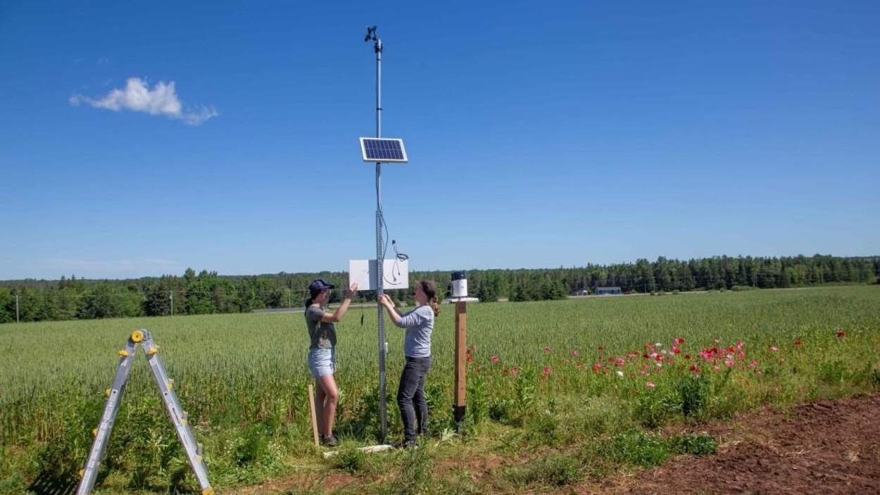 Un projet de recherche de UPEI étudiera les variations climatiques à l ...