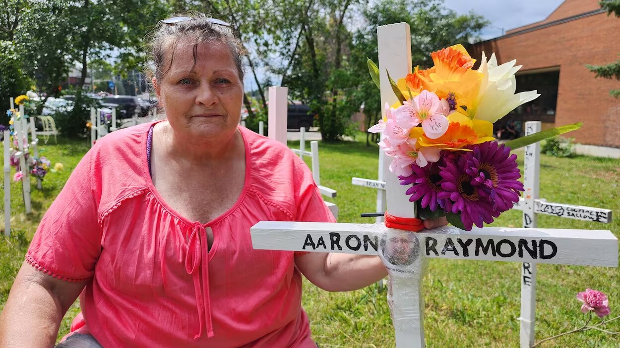 Un site qui commémore les victimes de surdoses à Sudbury aurait été ...