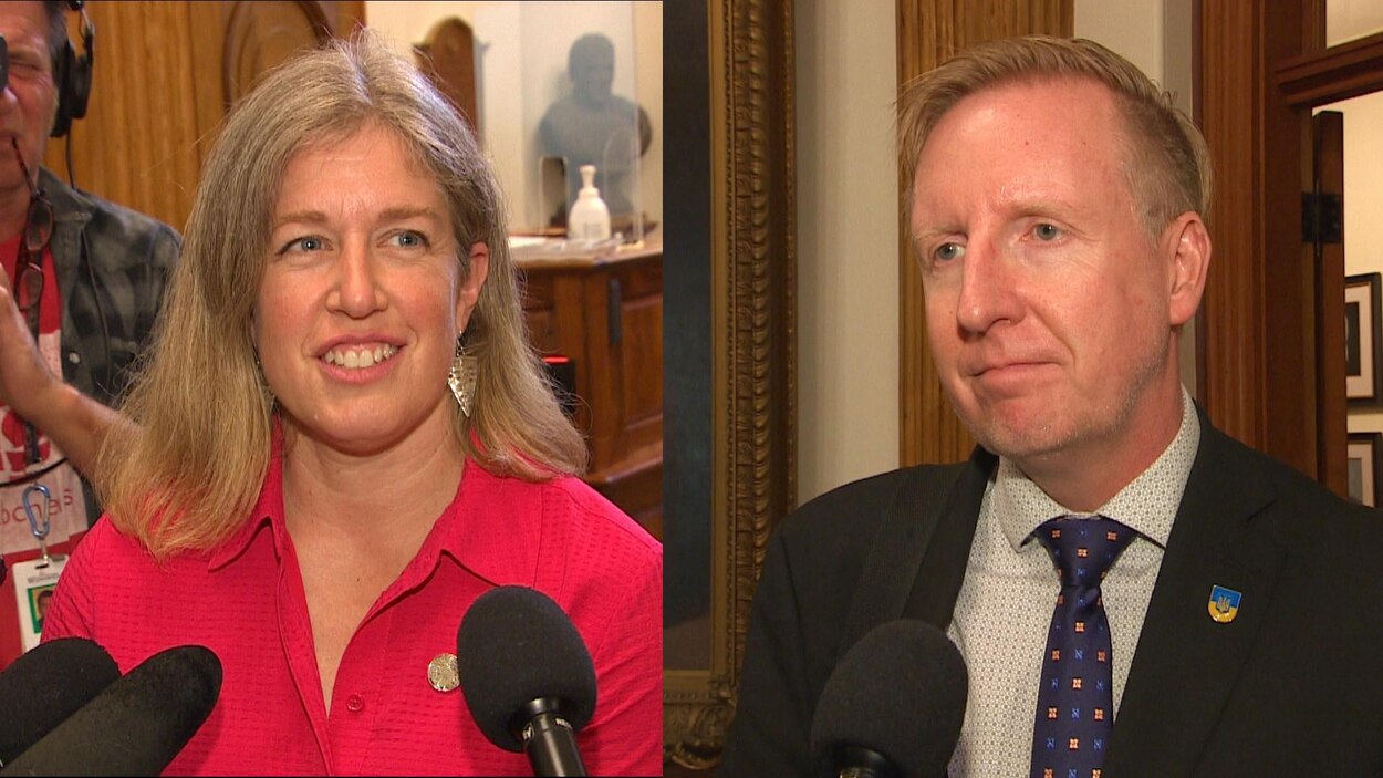 Susan Holt zieute la circonscription de Dominic Cardy | Radio-Canada