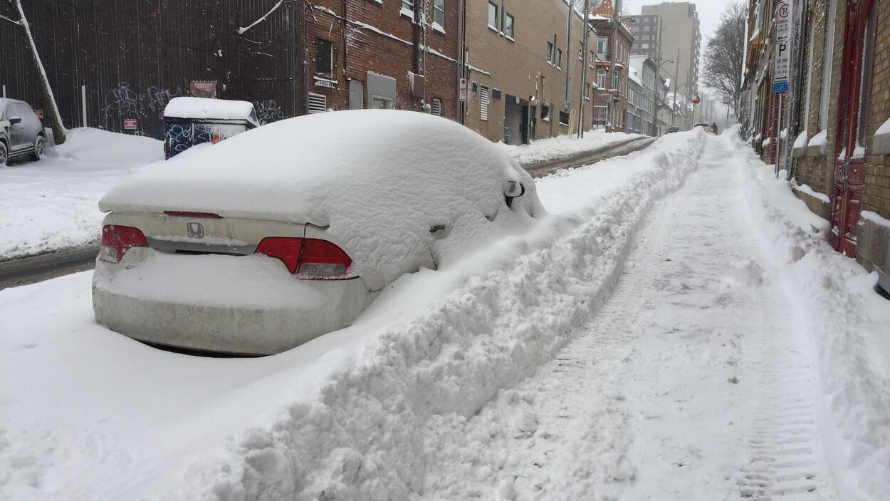 Jusqu'à 25 cm de neige dans l'Est-du-Québec et les Maritimes | Radio-Canada