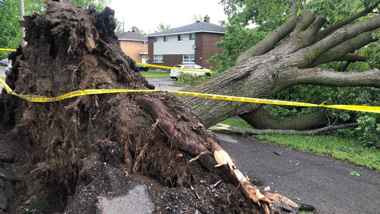 Un phénomène météo peu connu : le derecho | Radio-Canada