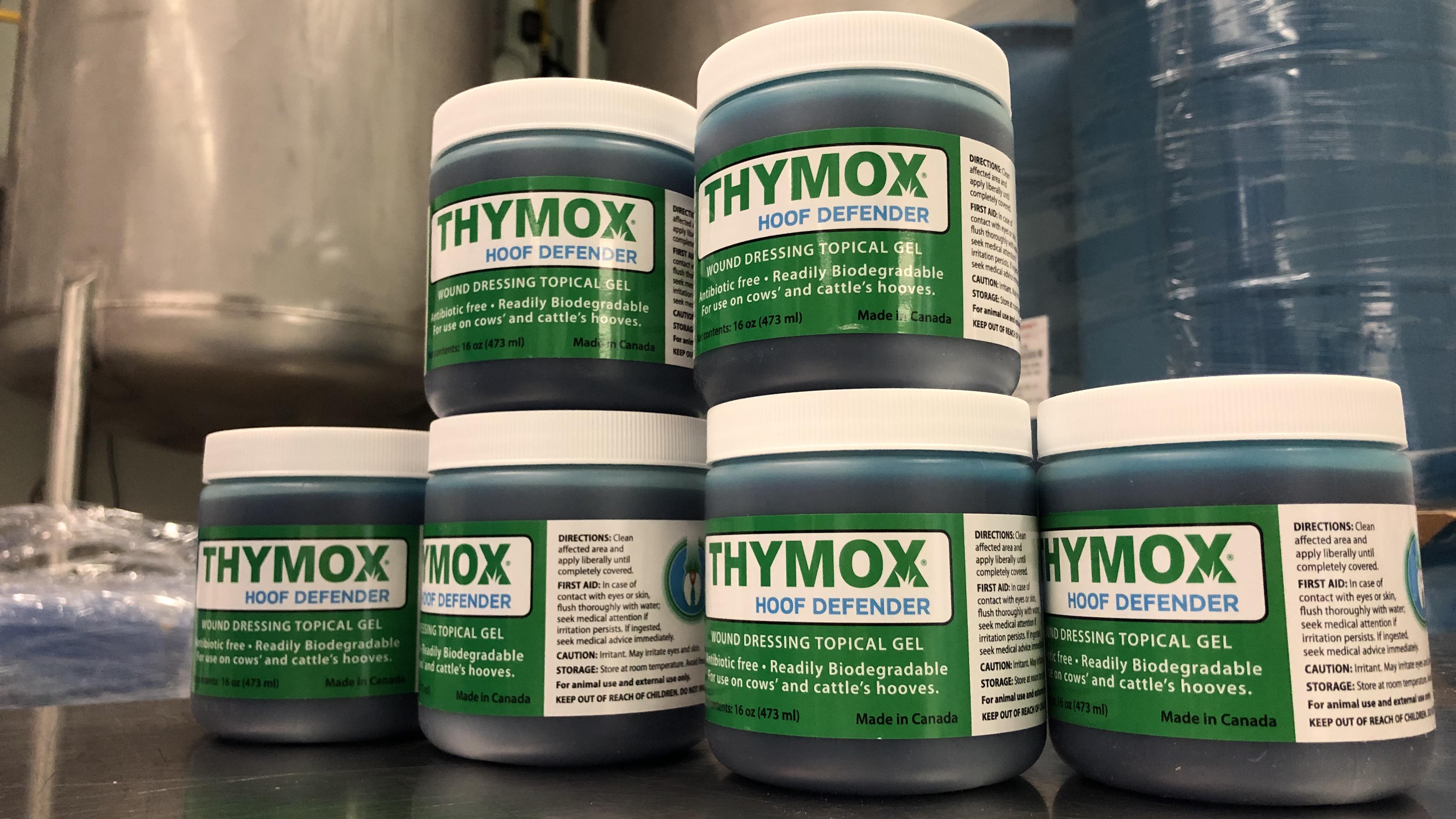Thymox : histoire du succès d’un désinfectant biodégradable québécois ...