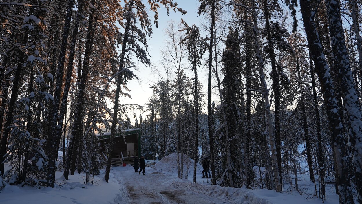Le camp en nature près de Yellowknife aide certains sans-abri, mais pas ...
