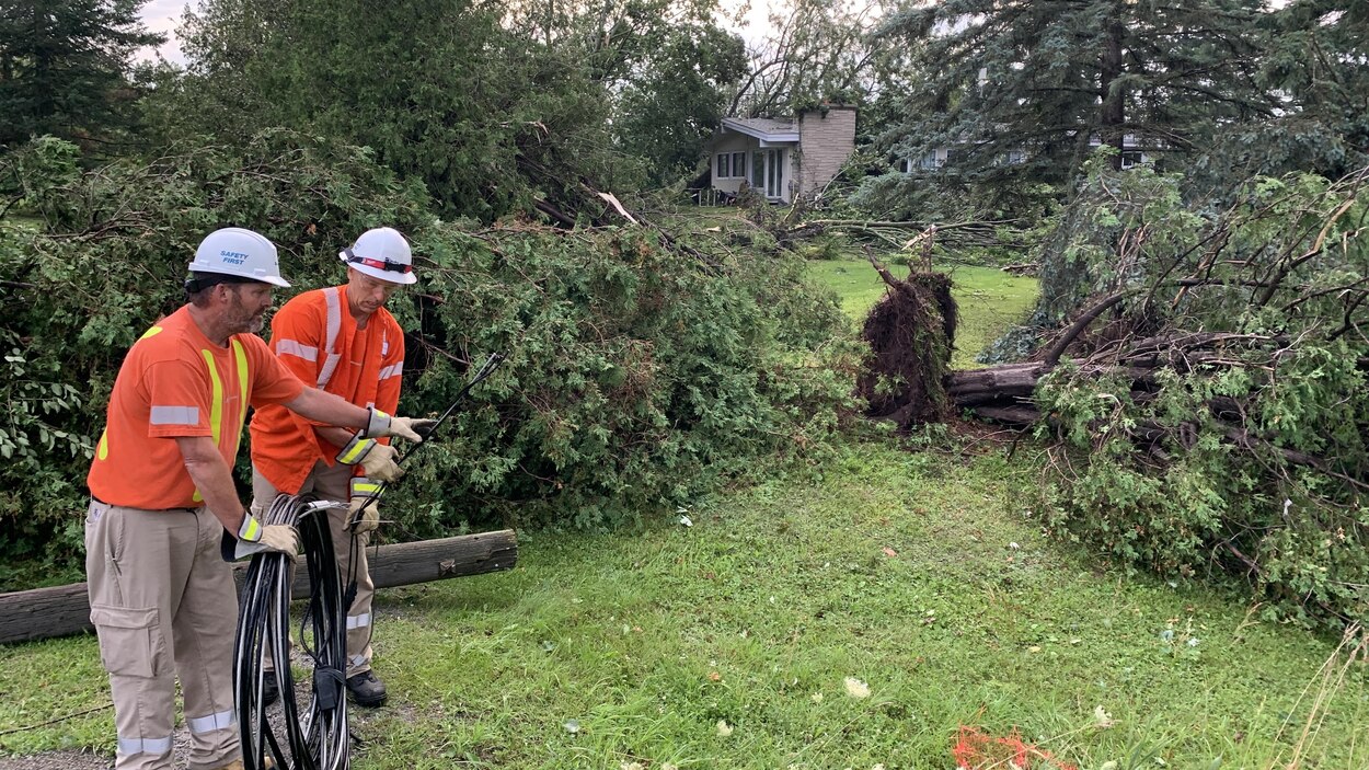 Une tornade a touché terre dans le sud-ouest d’Ottawa | Couverture en direct | Radio-Canada Info