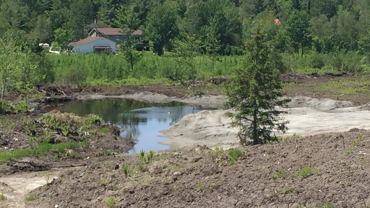 Aménagement d'une tourbière : Sherbrooke dit oui, Québec dit non ...