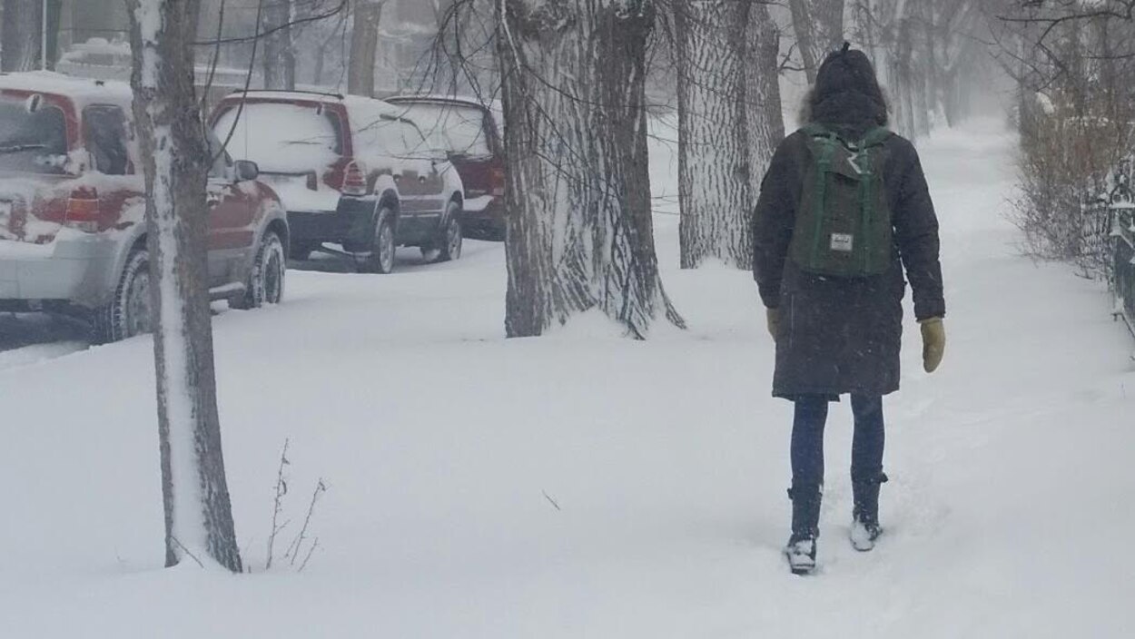 La croissance de la population stagne à Winnipeg, selon Statistique ...