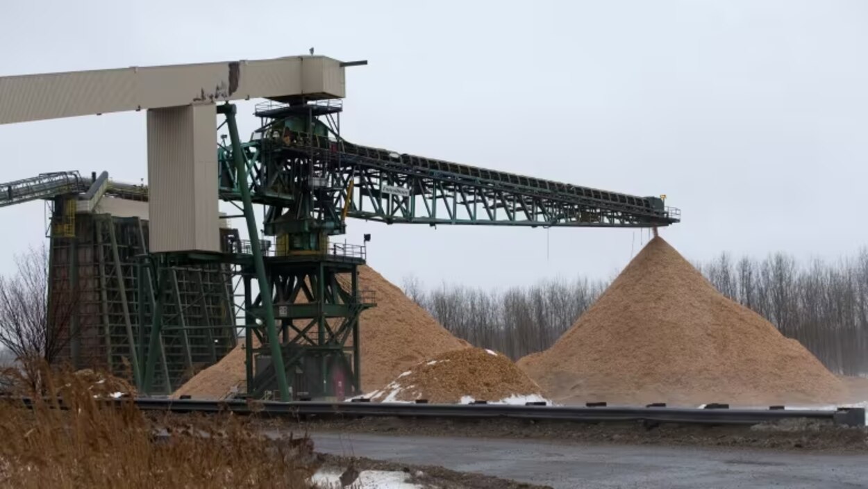 Who’s behind Canada’s new pulp-and-paper powerhouse, and where’s the ...