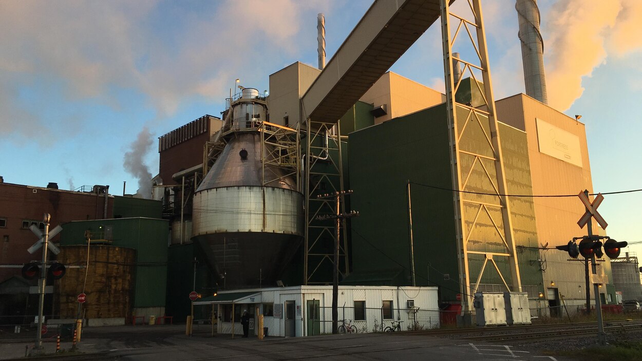 De la pâte au biocharbon : un nouvel avenir se dessine pour l’usine ...