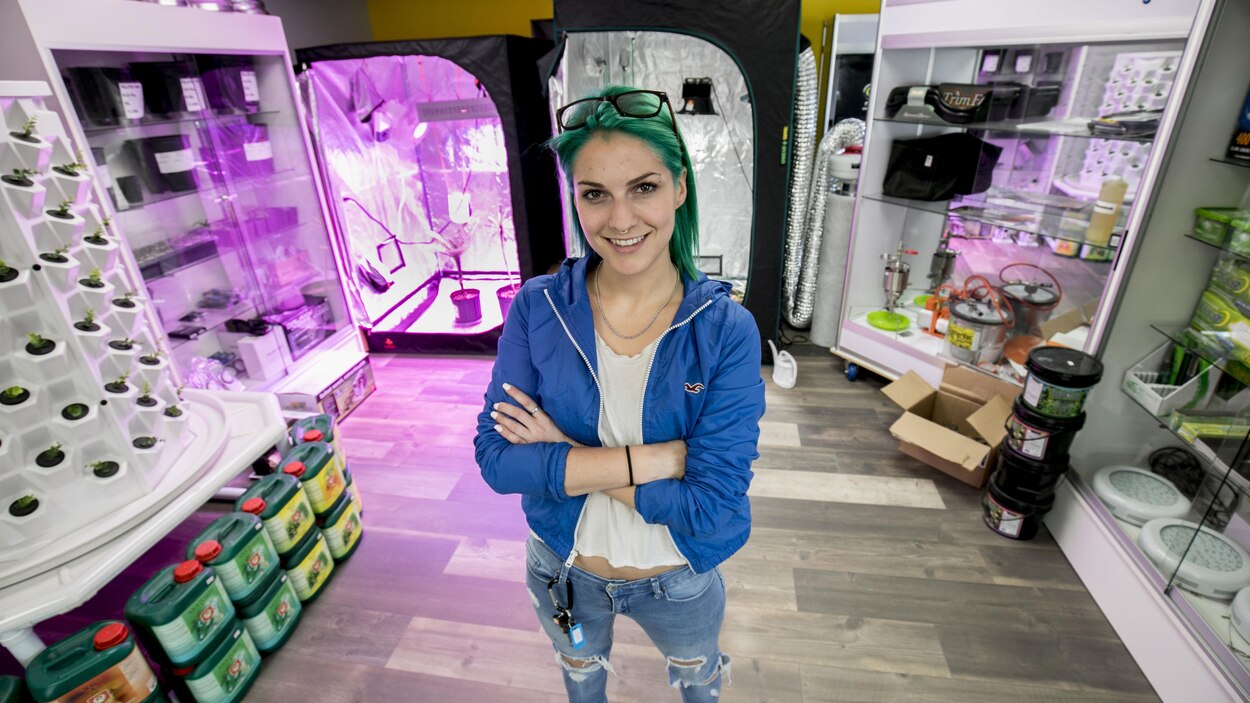 Culture du cannabis à domicile : un commerce lucratif à venir | Radio ...