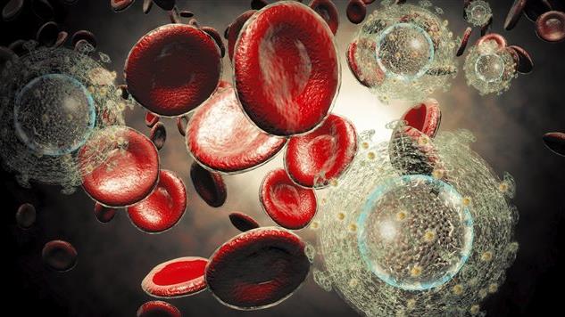 Augmentation des cas de VIH chez les 50 ans et plus | OHdio | Radio-Canada