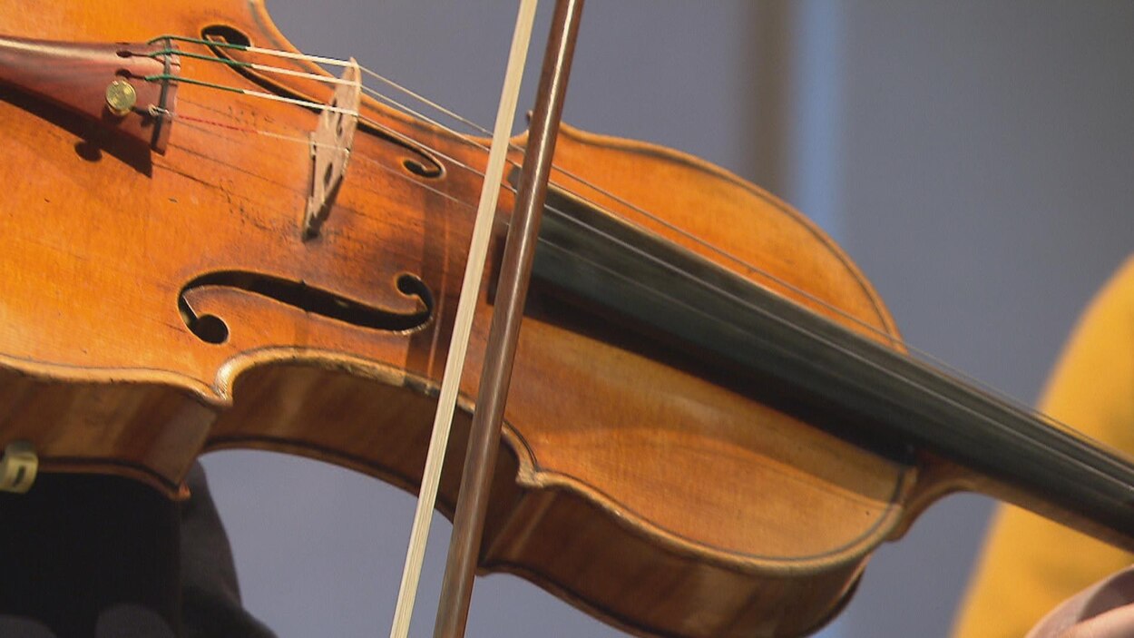 Des instruments à cordes anciens et précieux temporairement dans la ...