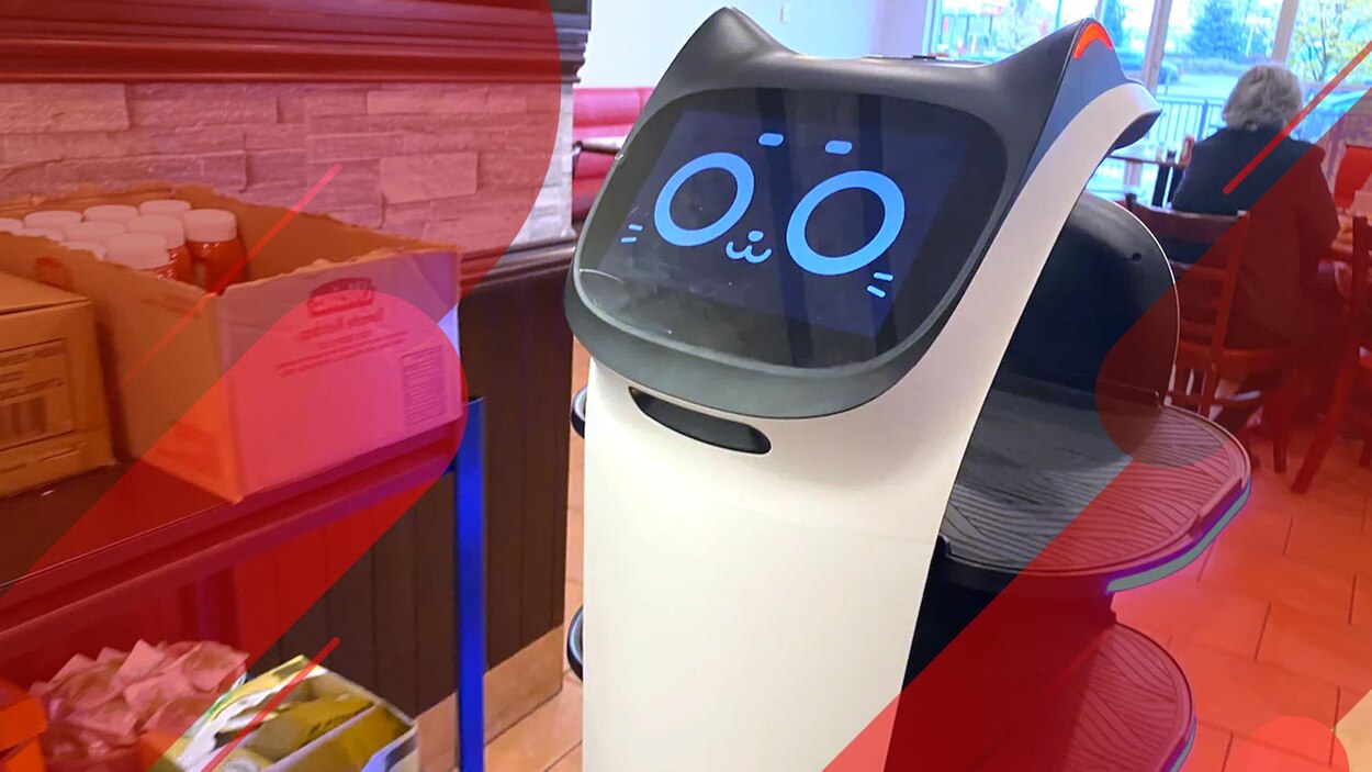 Un robot dans un resto | Radio-Canada