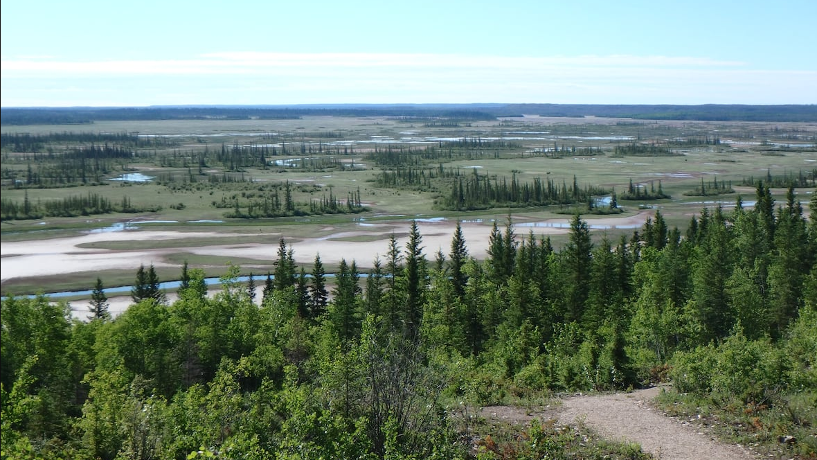 Dix-huit mois pour mieux protéger le parc de Wood Buffalo | Radio-Canada Dix-huit mois pour mieux protéger le parc de Wood Buffalo | Radio-Canada