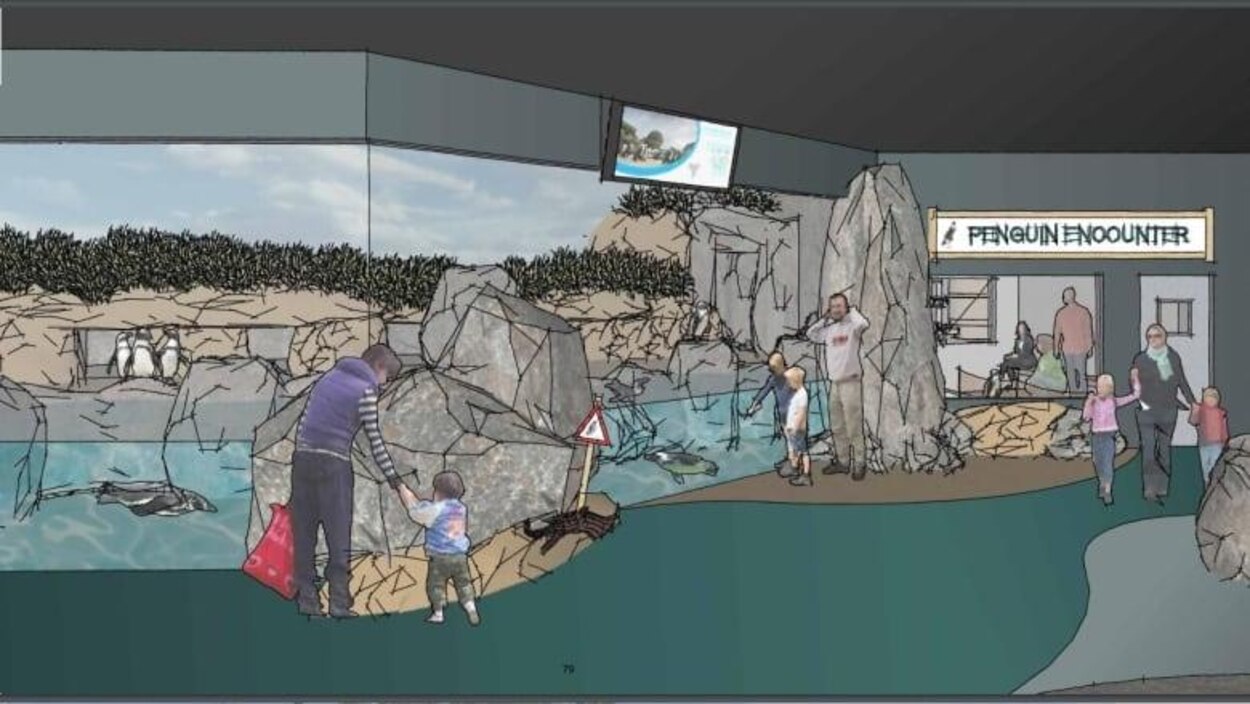 Projet d’expansion : le zoo de Moncton espère accueillir girafes et ...