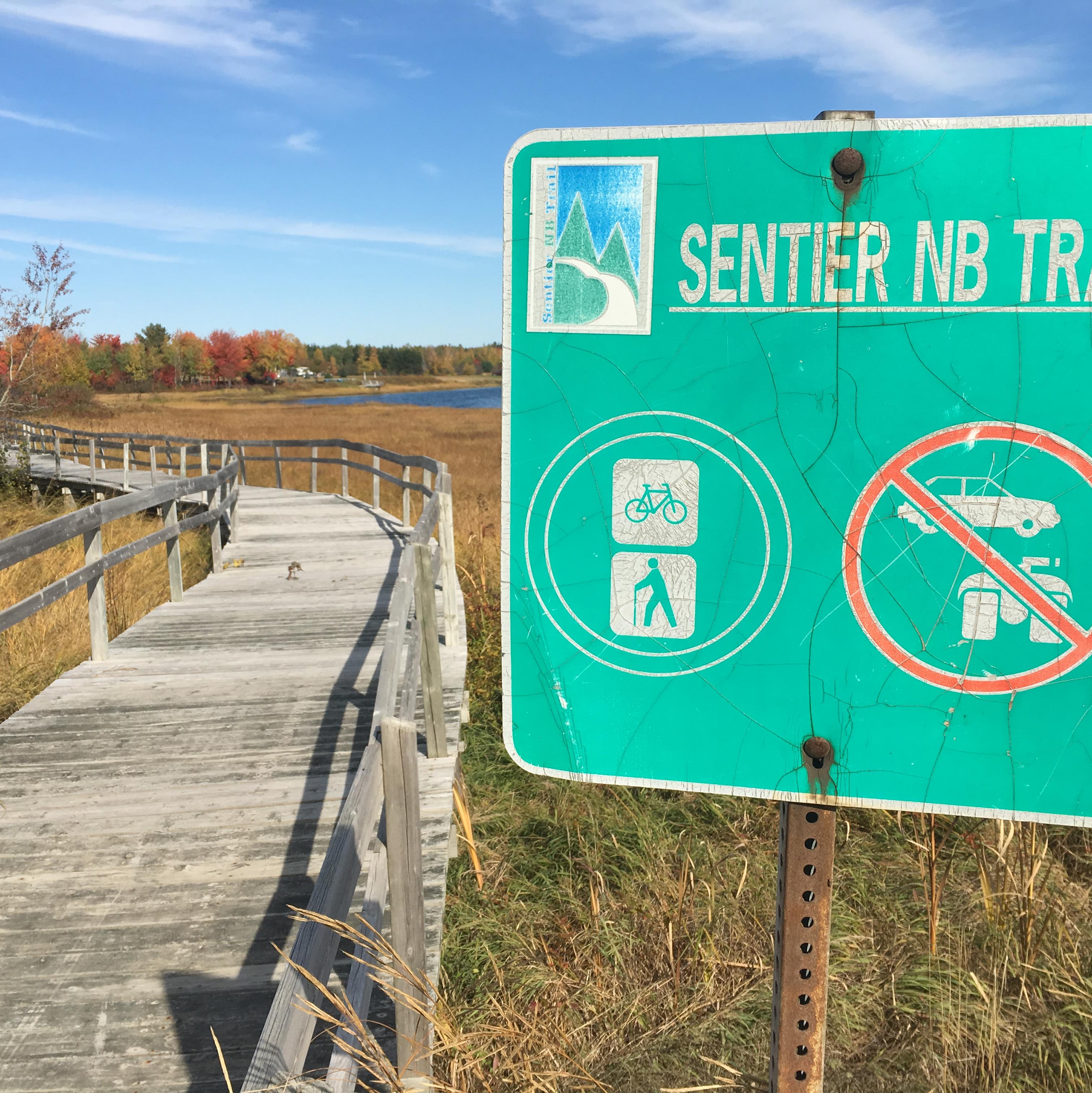 Sentier NB Trail | atelier-yuwa.ciao.jp