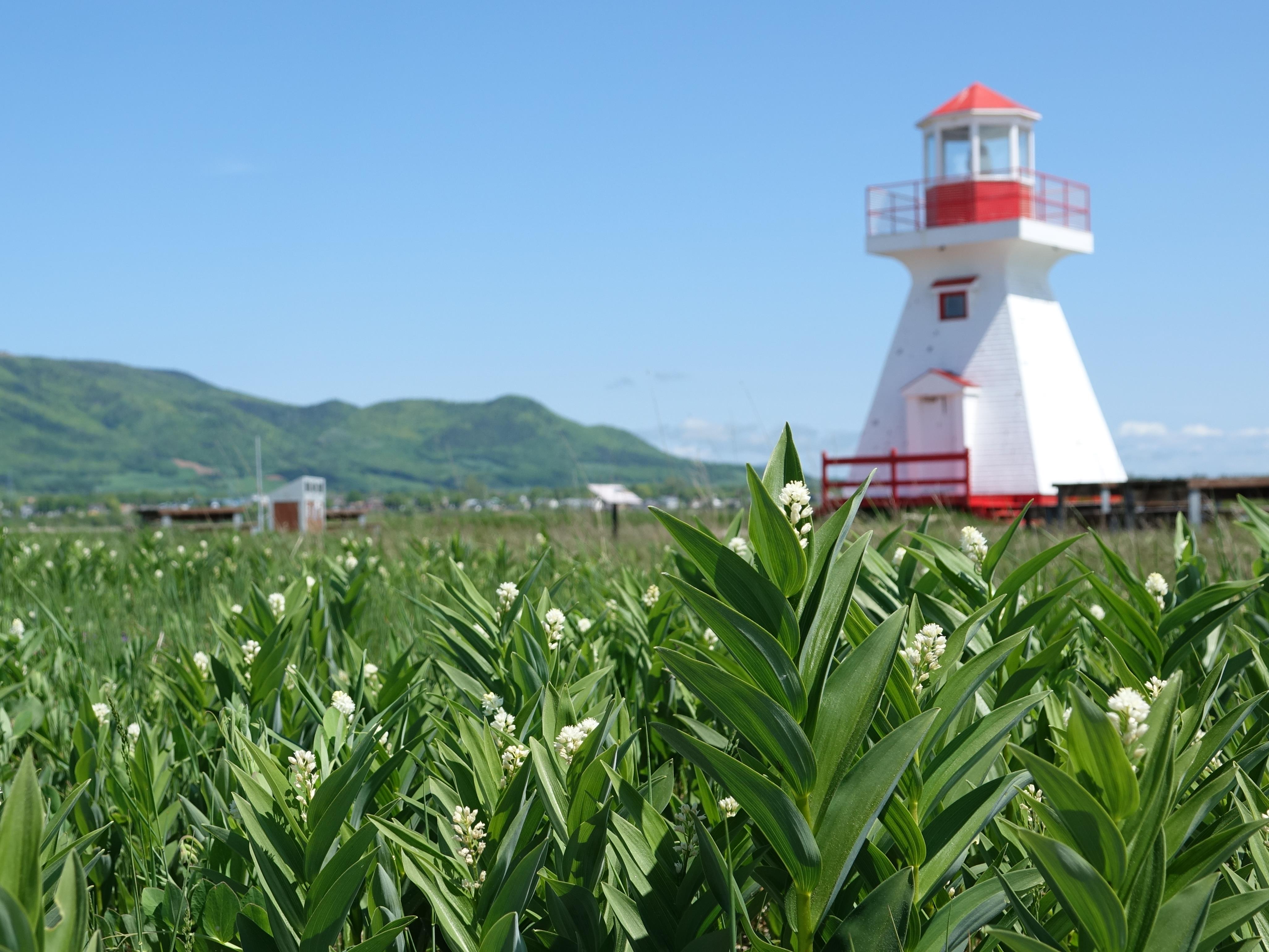 Coup d’œil sur Toc toc, nouvelle production du Théâtre Le Clan Destin | OHdio | Radio-Canada