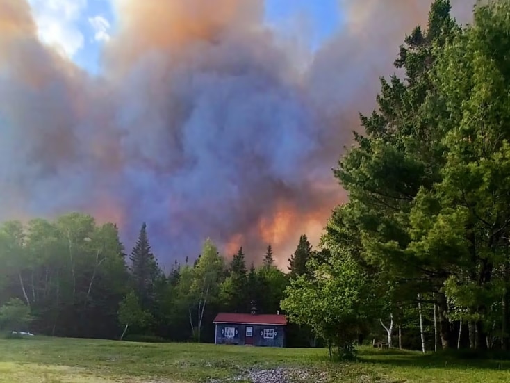 La saison des feux de forêt risque d'être intense au N.-B.