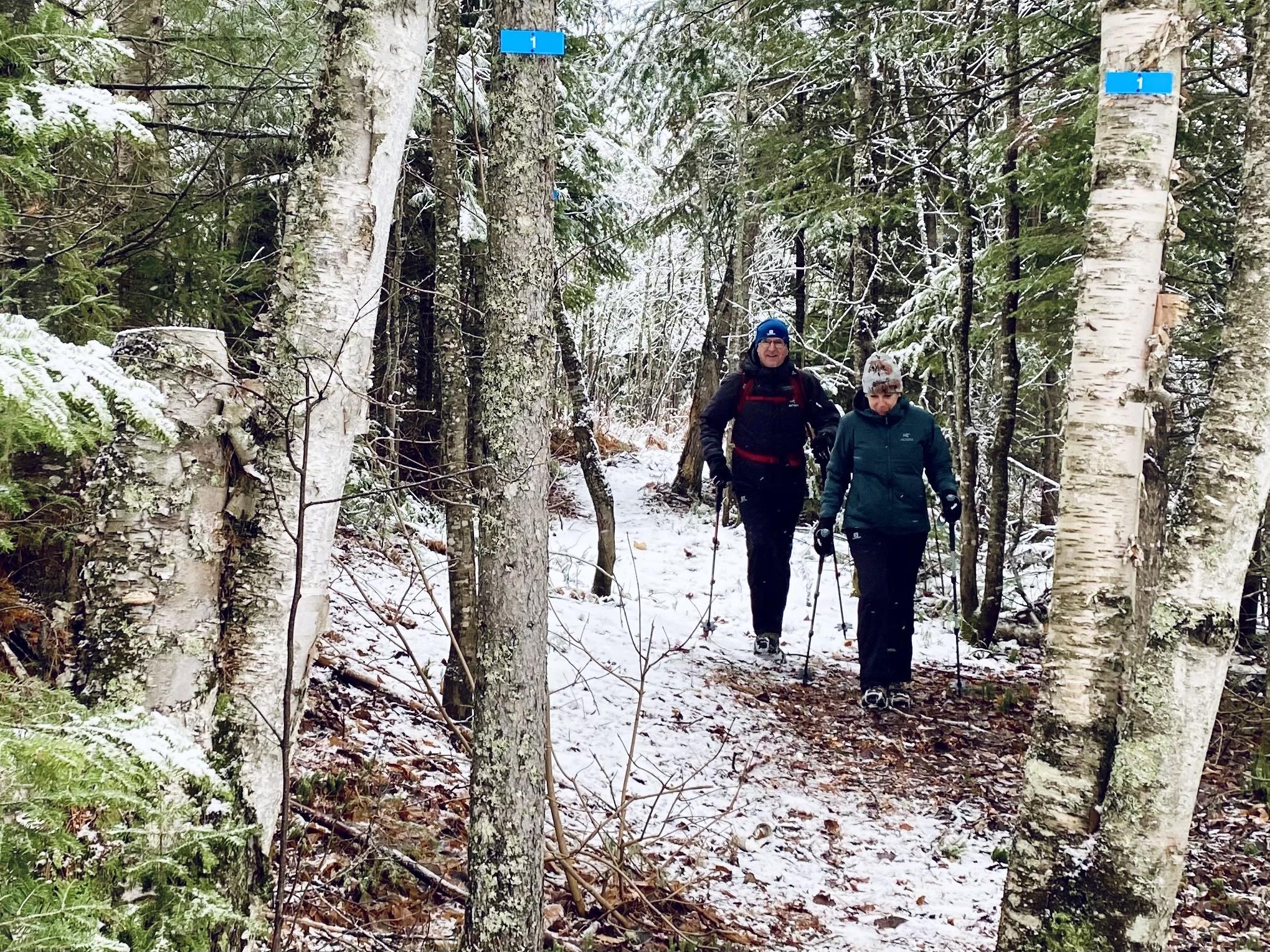 Quelles activités faire à l’extérieur lorsque l’hiver est doux? | OHdio ...