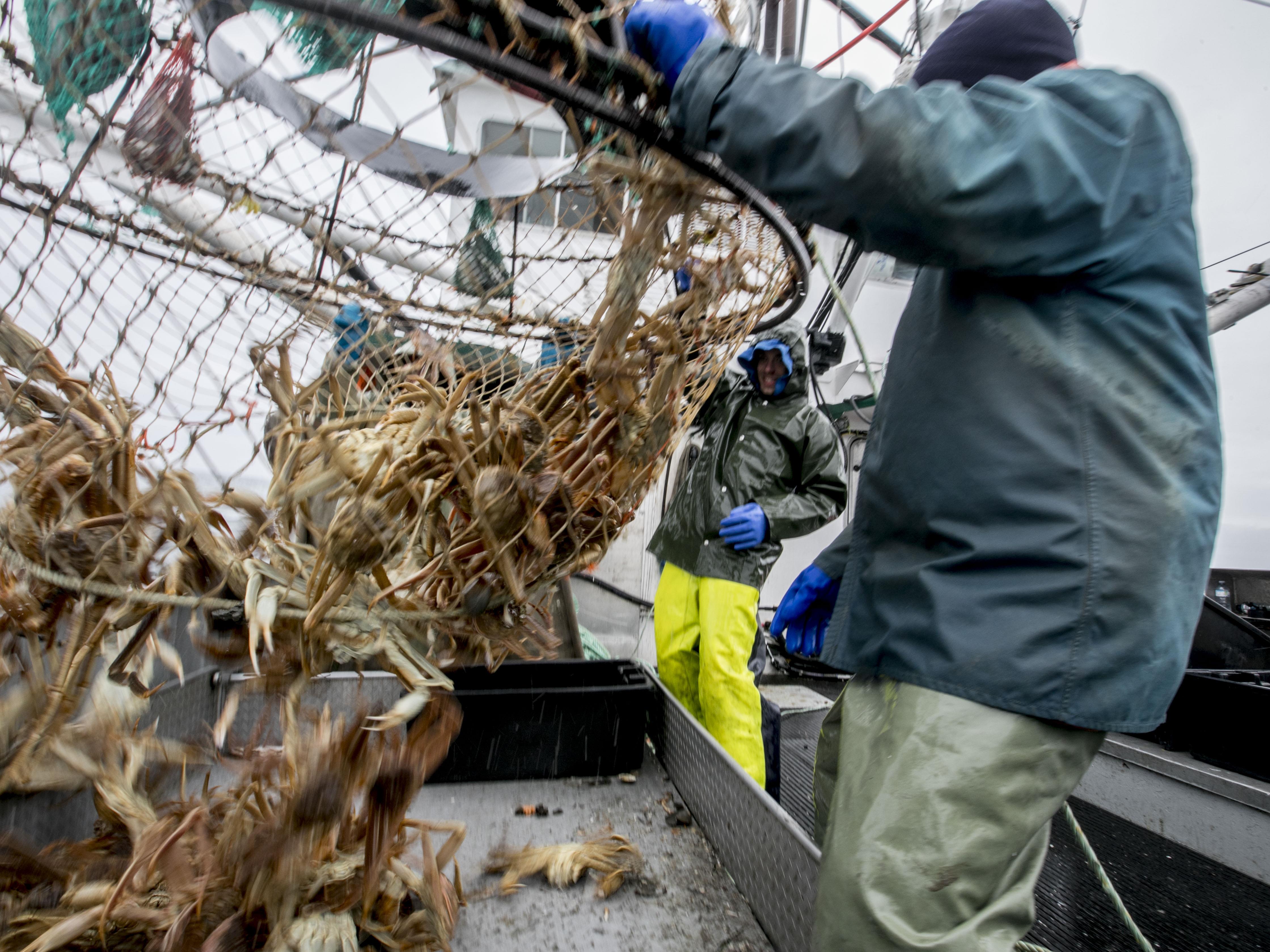 La route du crabe | ICI.Radio-Canada.ca