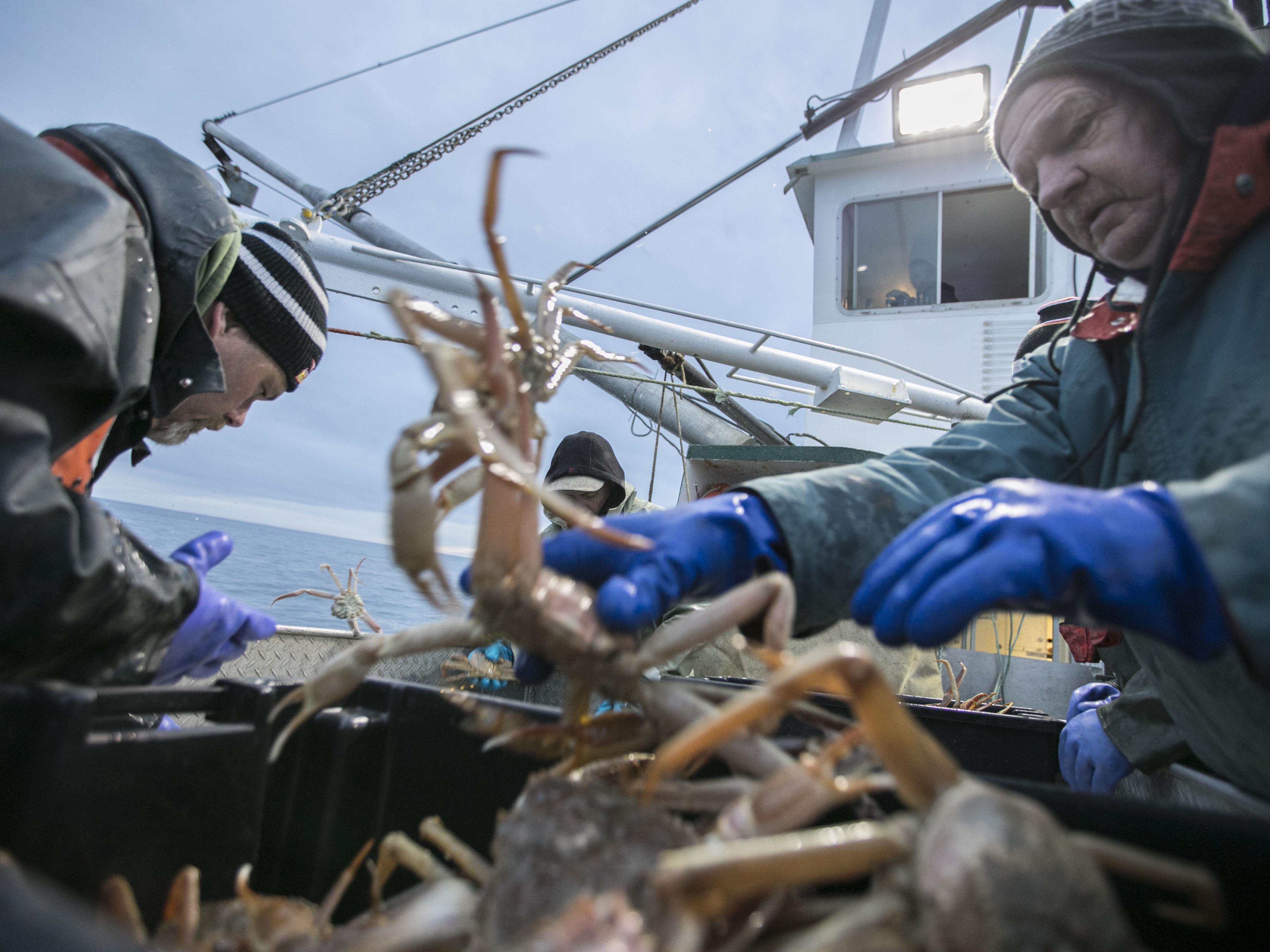La route du crabe | ICI.Radio-Canada.ca