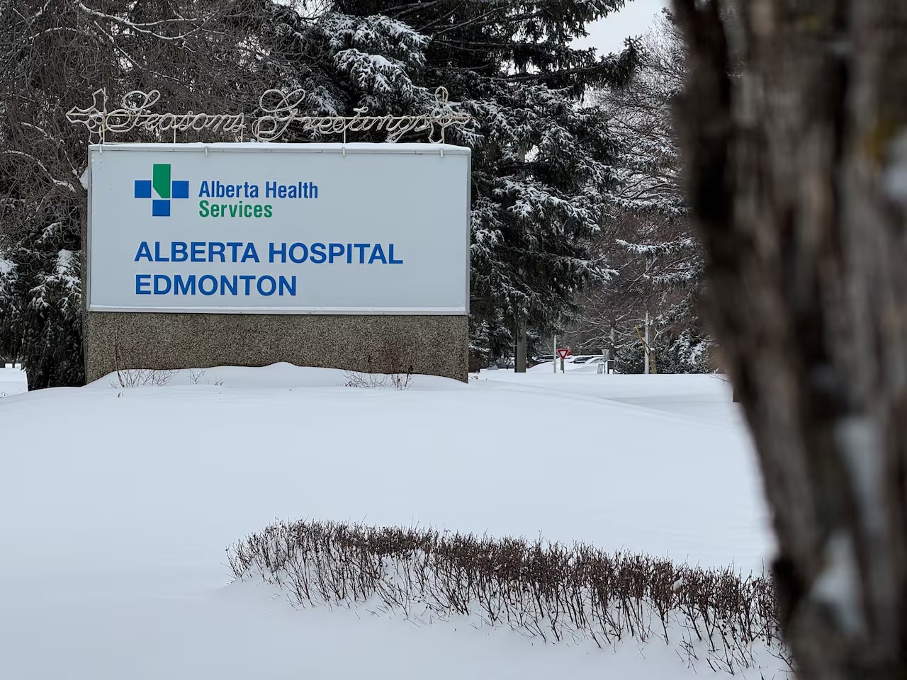 Attaque Au Couteau Dans Un Hôpital Le Téléjournal Alberta