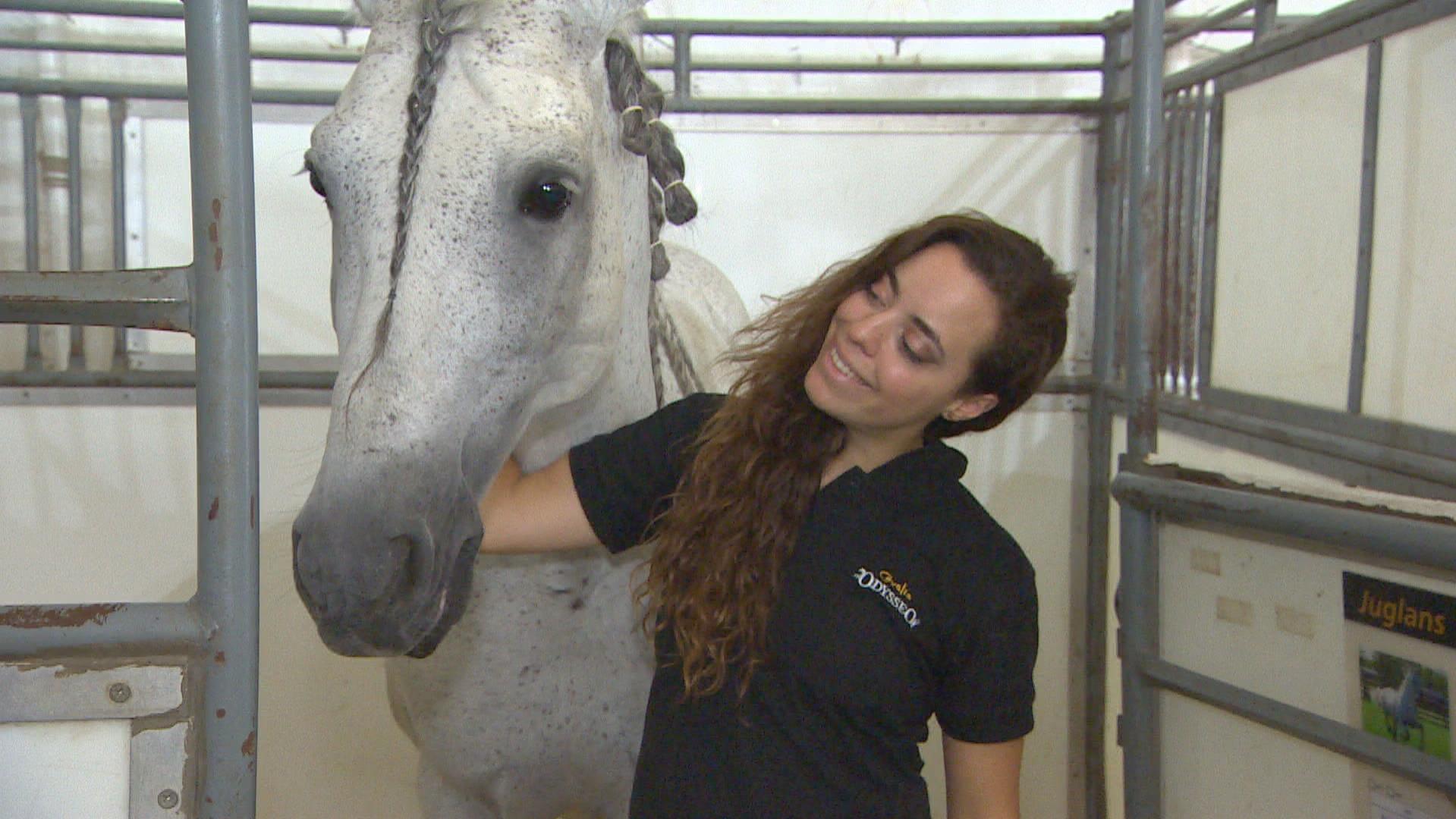 L’art très spécial d’entraîner les chevaux de Cavalia | Radio-Canada.ca
