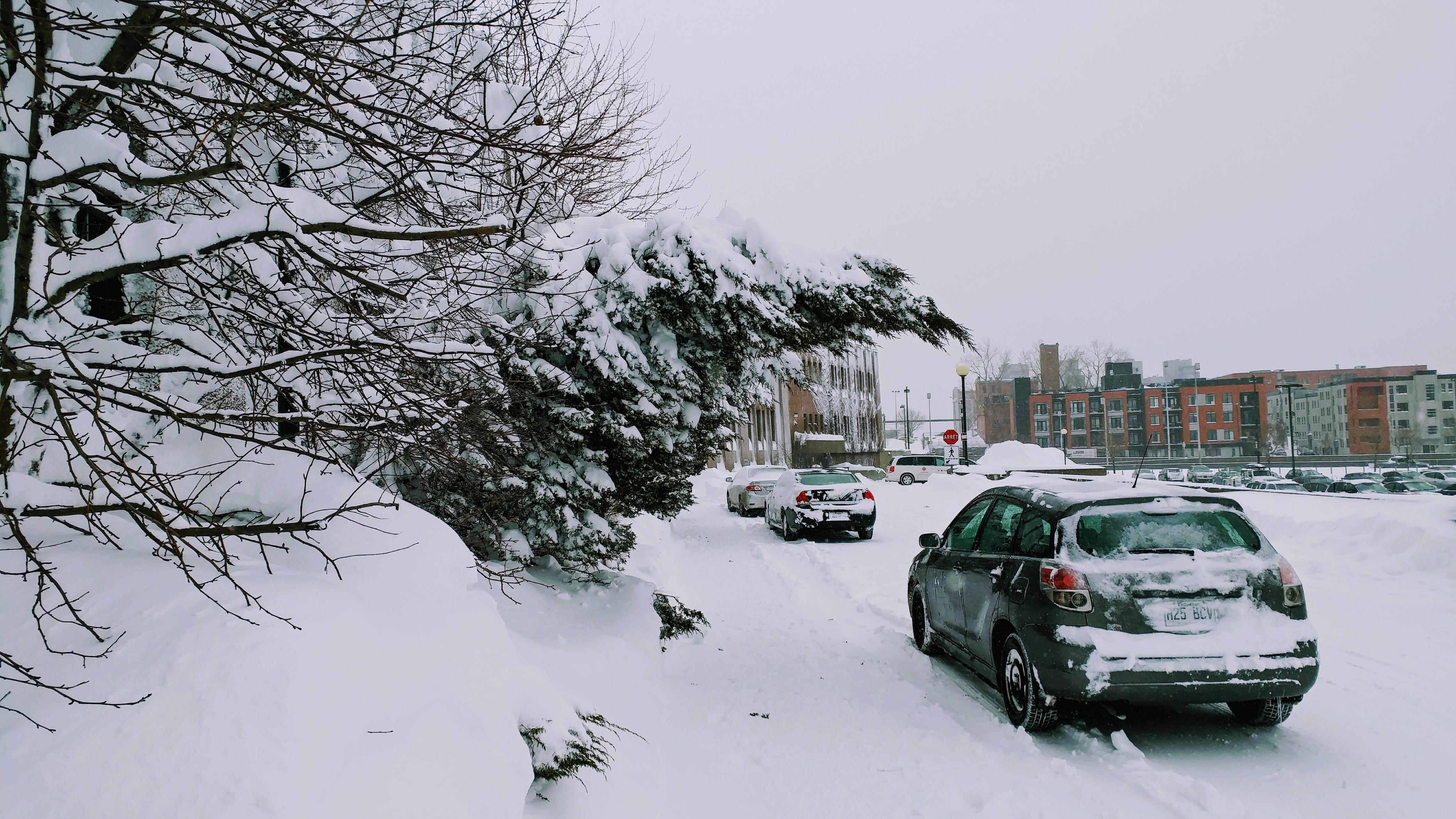 Les meilleures images de la tempête | Radio-Canada.ca
