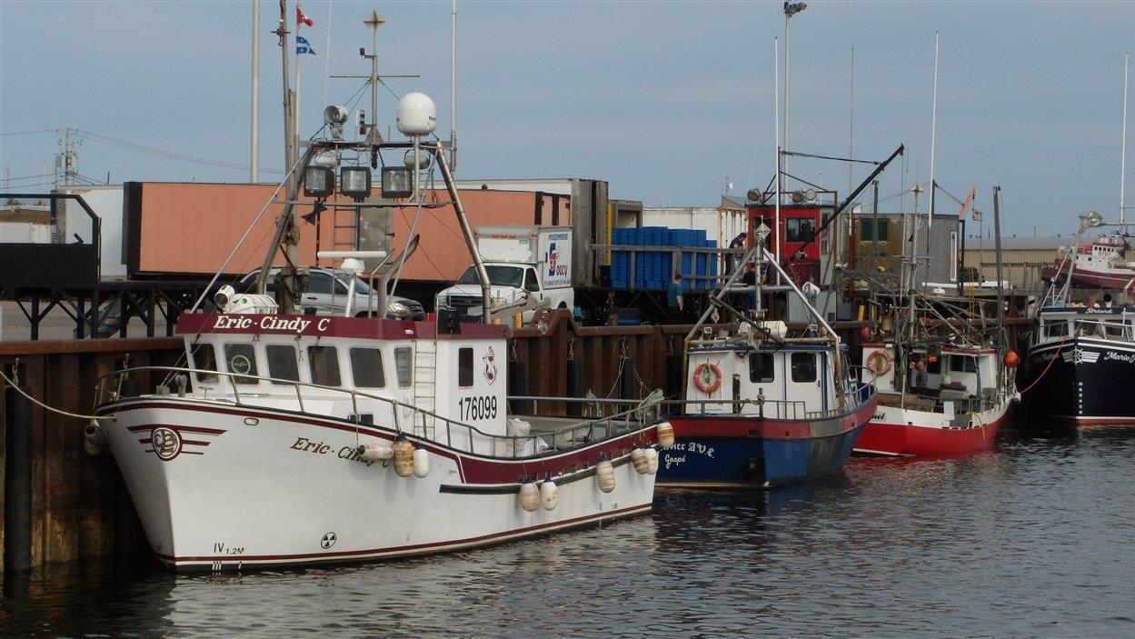 Le Port de Sept-Îles a su bien s'en tirer en 2016 | Radio-Canada.ca