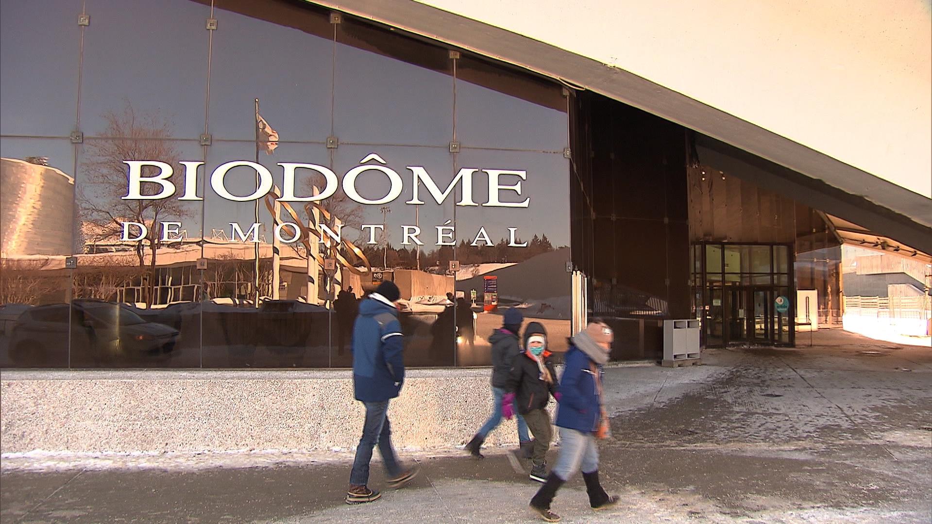 Dernier tour de piste pour les locataires du Biodôme avant le grand ...