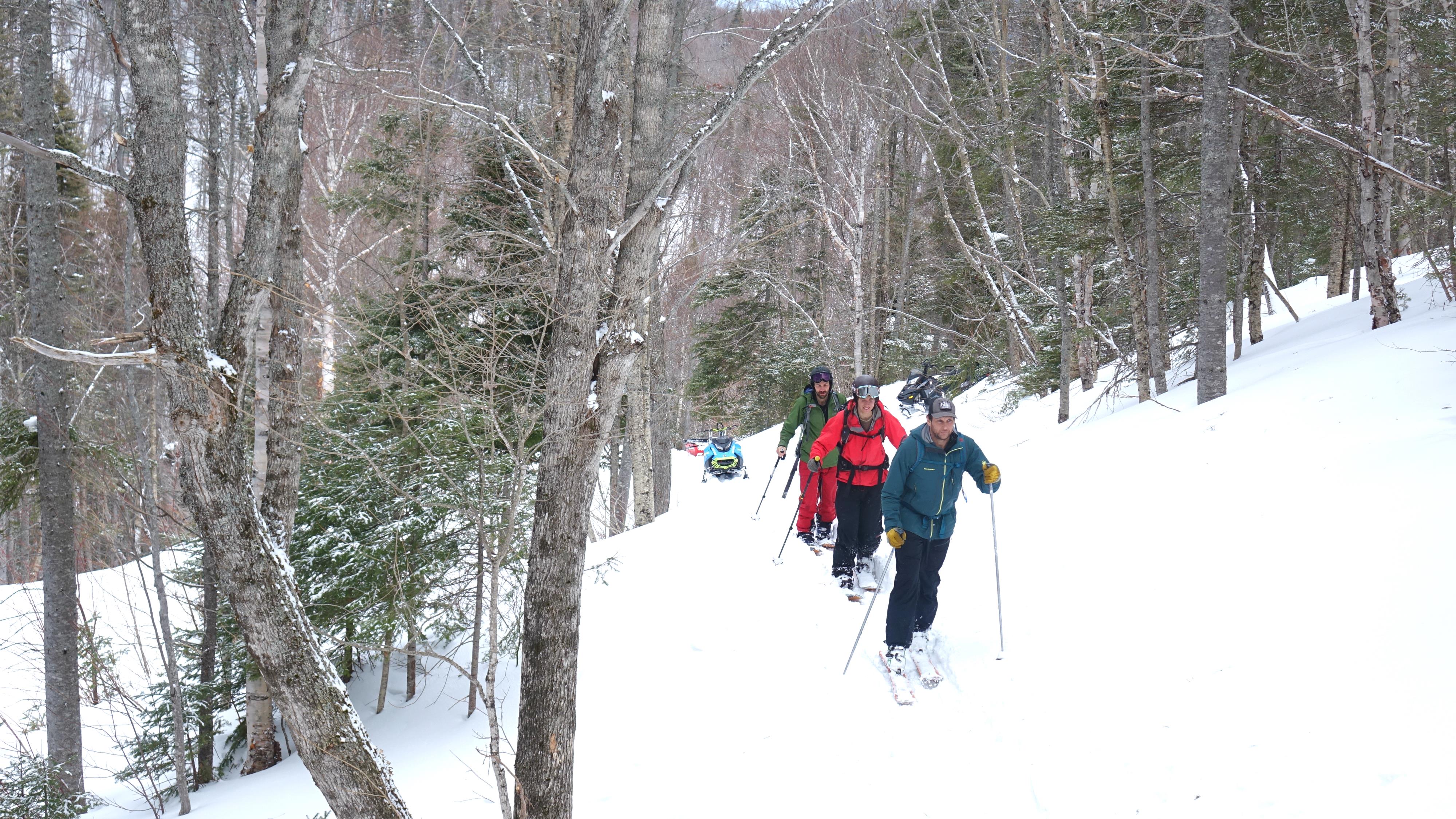 Hors-piste en Haute-Gaspésie : le succès inattendu de Cap Castor ...