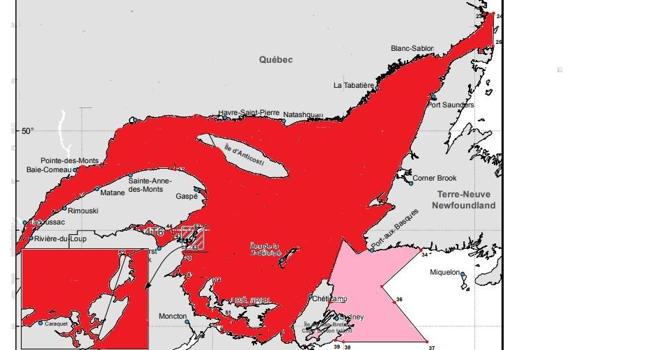 Le sébaste en chiffres | Radio-Canada.ca