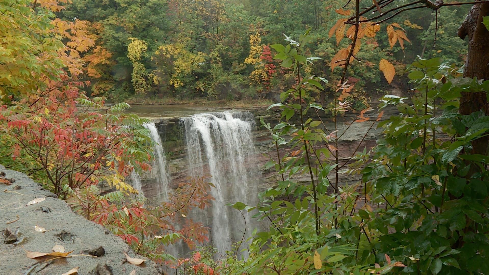 Le festival de l'Action de grâces des chutes Ball, une tradition qui ...