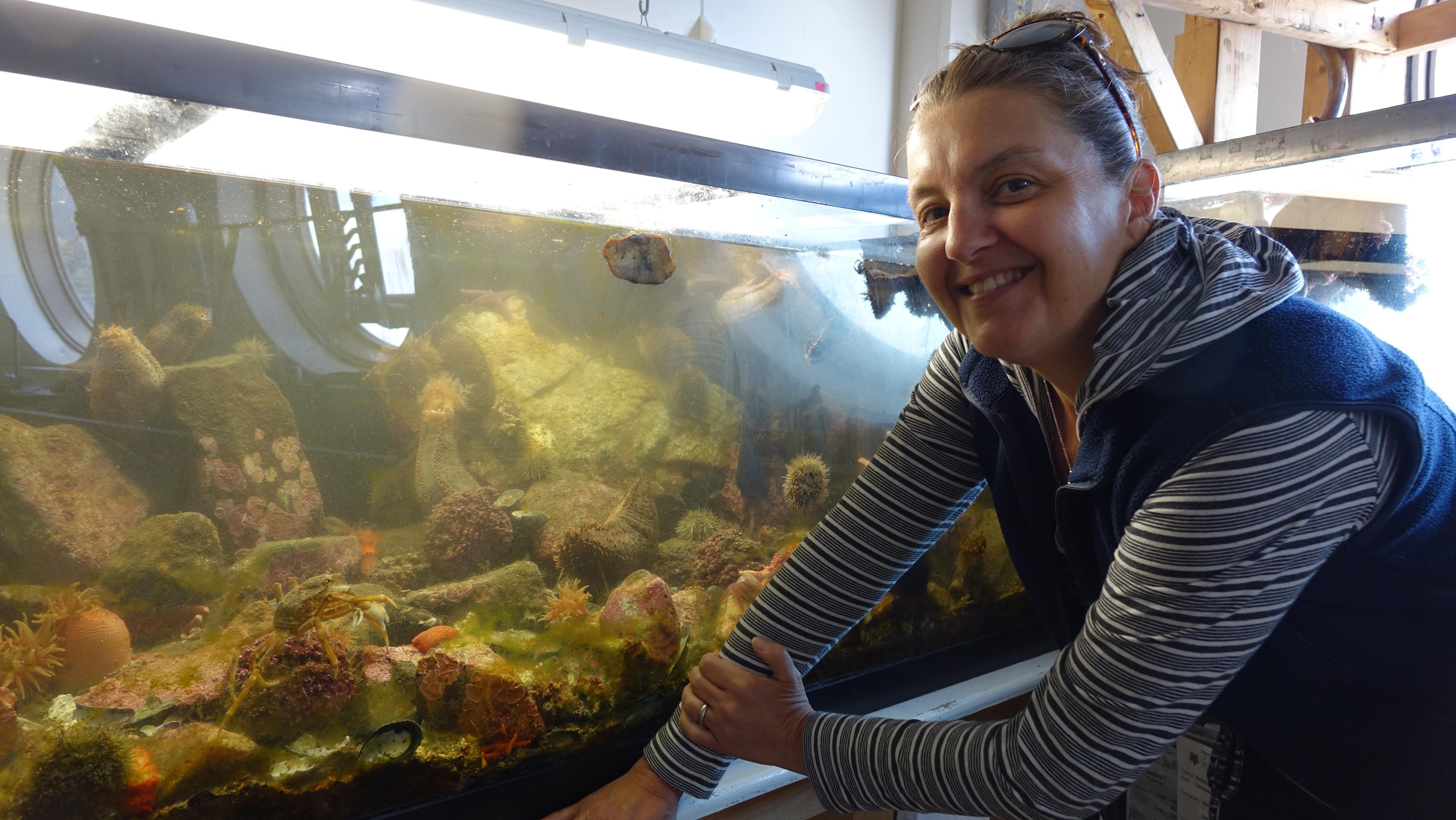 Lever le voile sur le peuple des abysses | Radio-Canada.ca