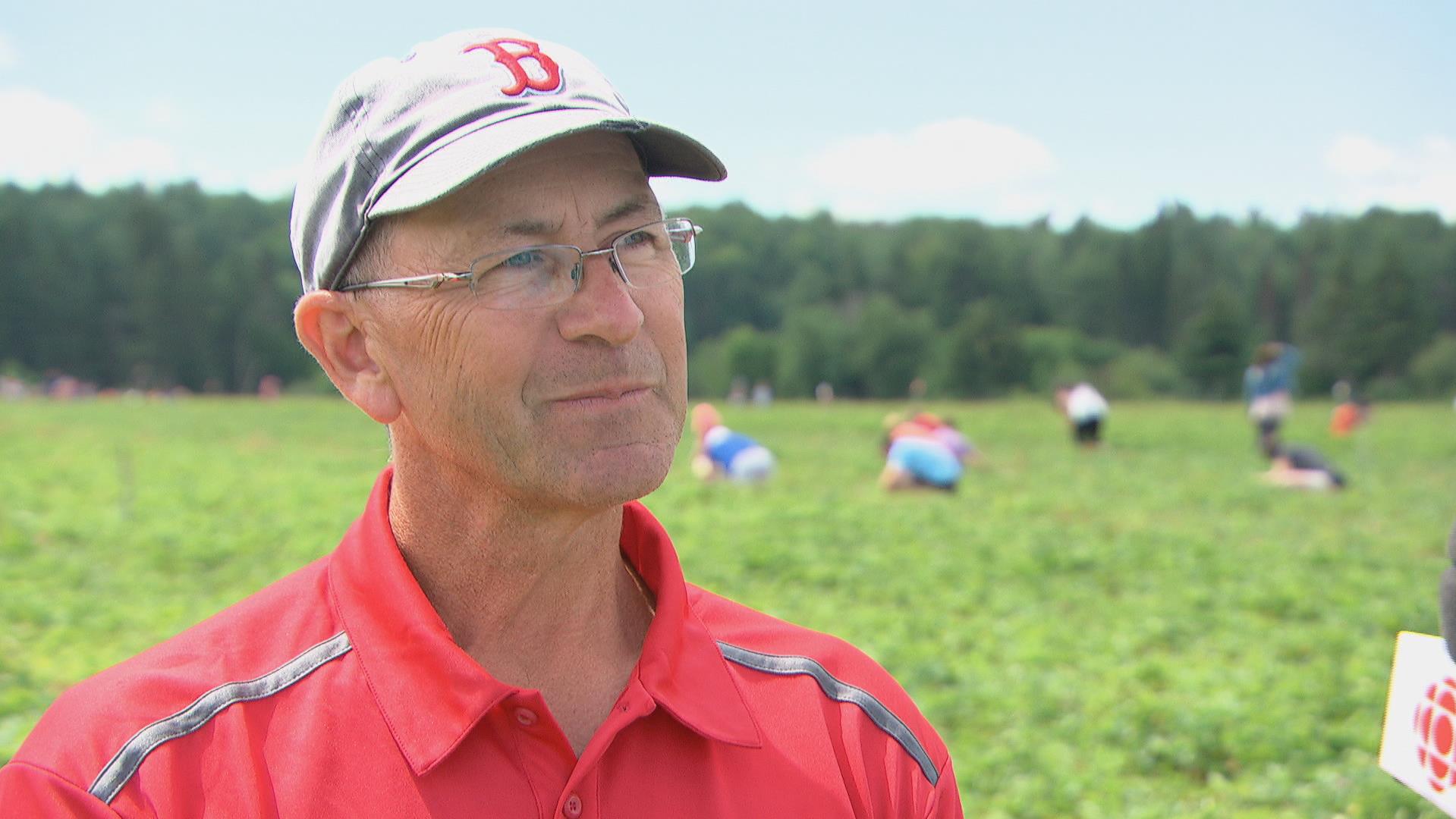 L'été pluvieux engendre des pertes pour les agriculteurs de l'Outaouais ...