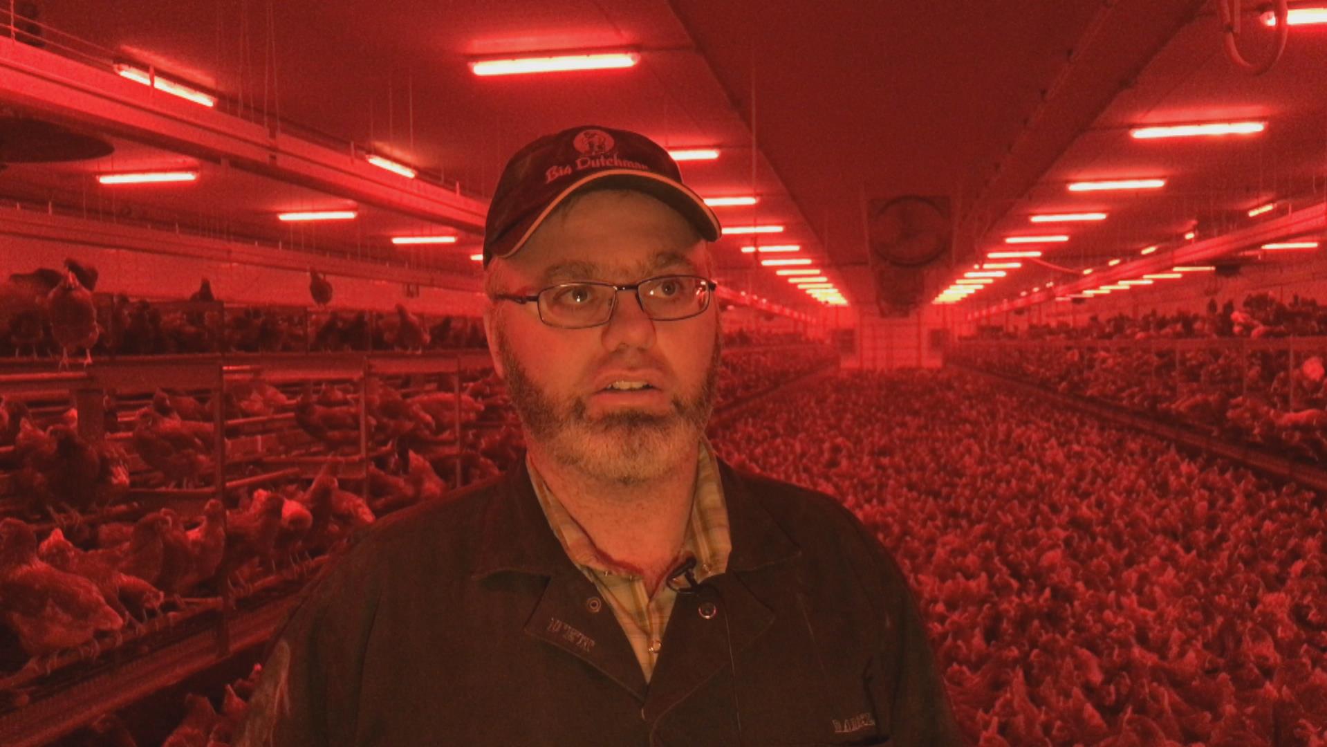 Les Canadiens consomment de plus en plus d'oeufs | Radio-Canada.ca