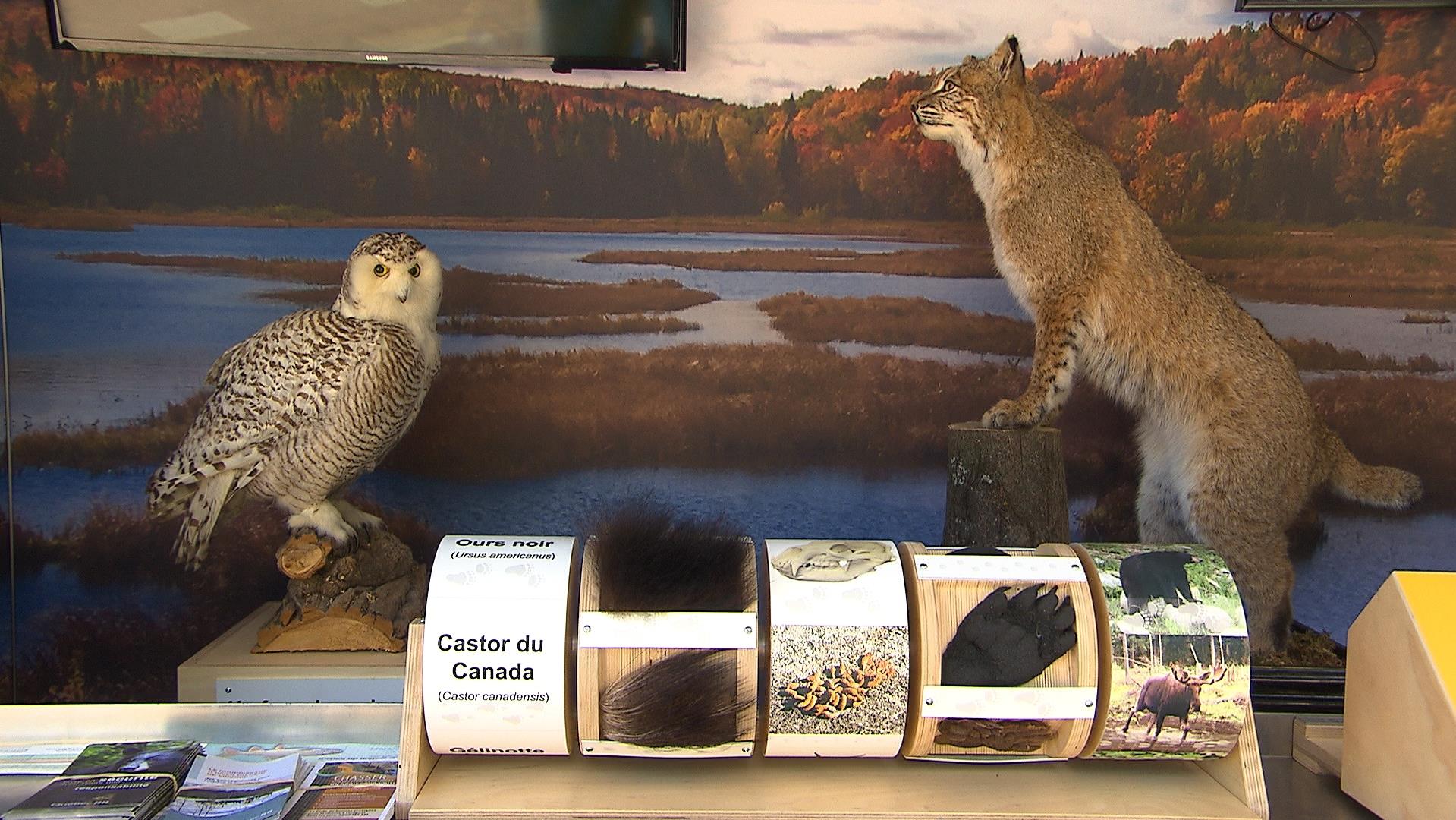 Les agents de protection de la faune sont de faction depuis 150 ans ...