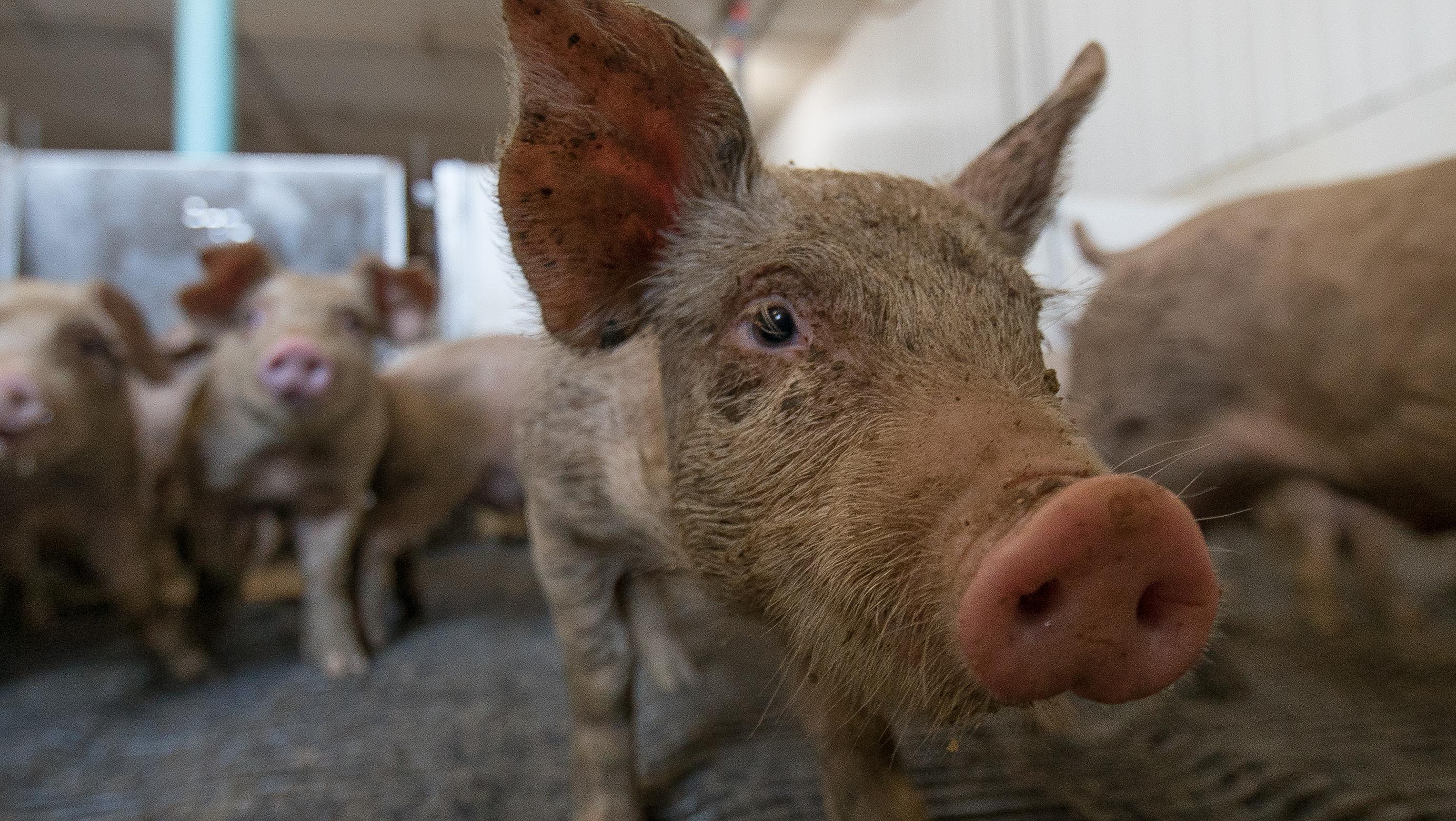 Notre édition week-end | Radio-Canada.ca