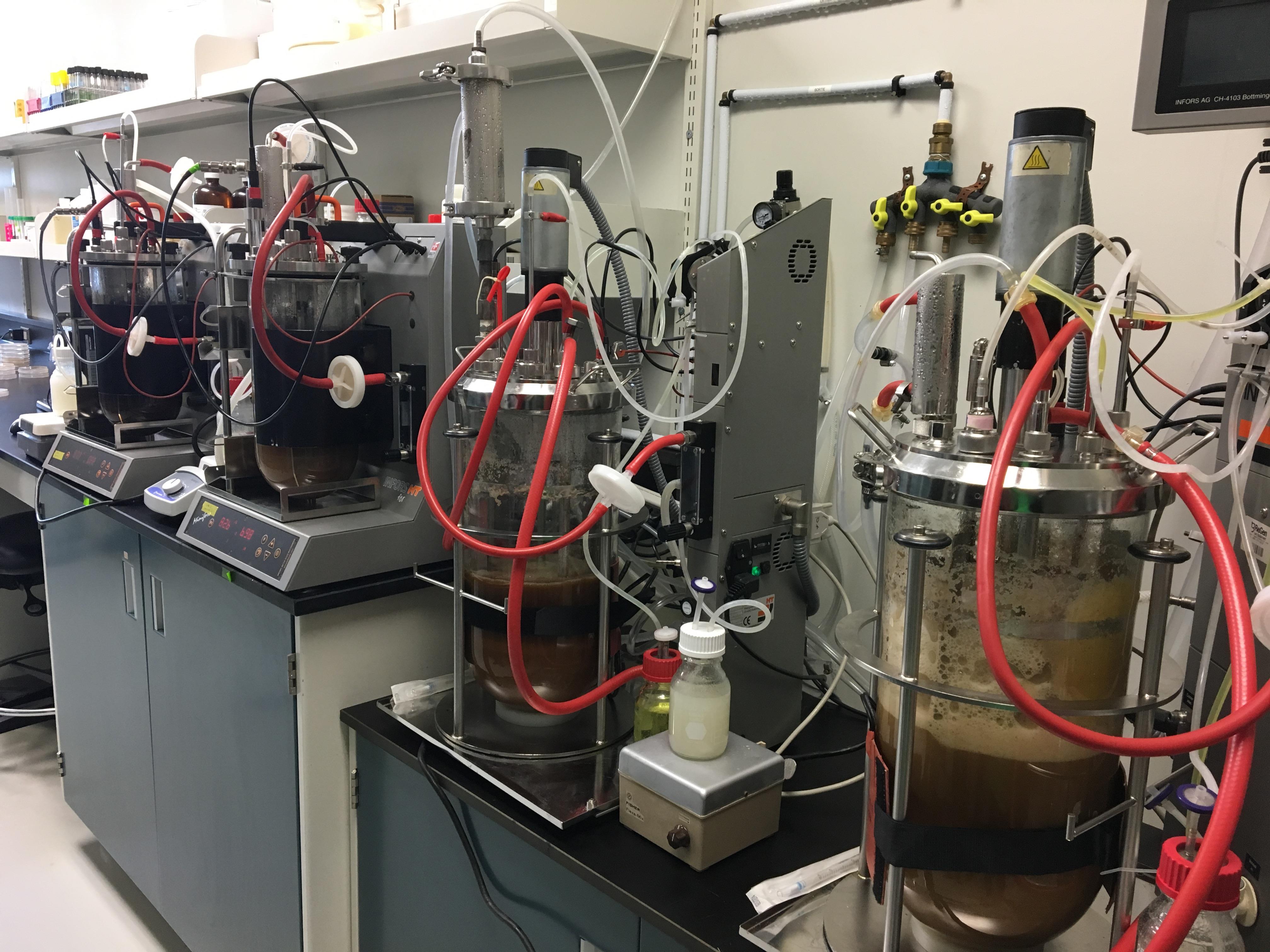 Des bactéries pour stimuler les plants de marijuana | Radio-Canada.ca