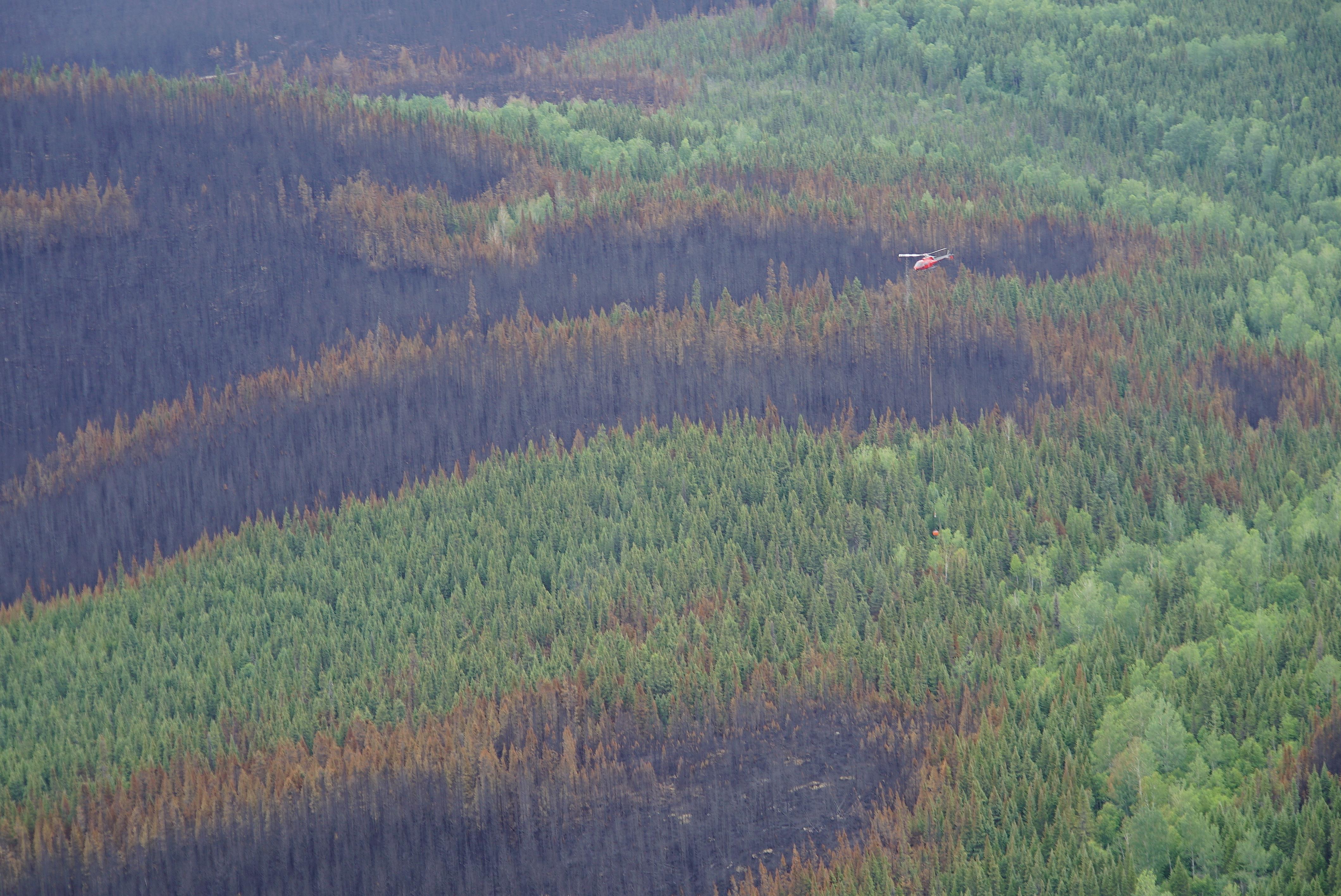 Plus d’incendies dans l’Est-du-Québec cet été | Radio-Canada.ca