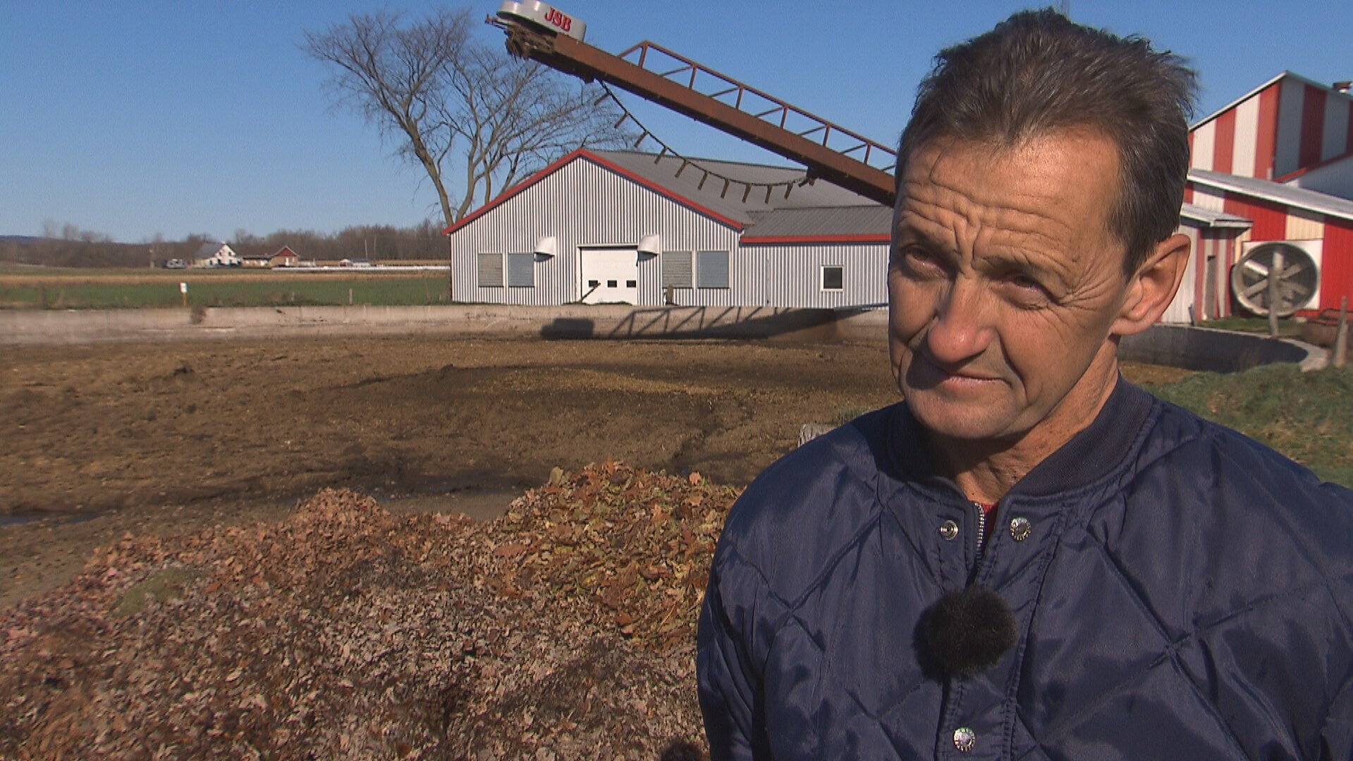 Une nouvelle vie pour les feuilles mortes dans les champs de la ...