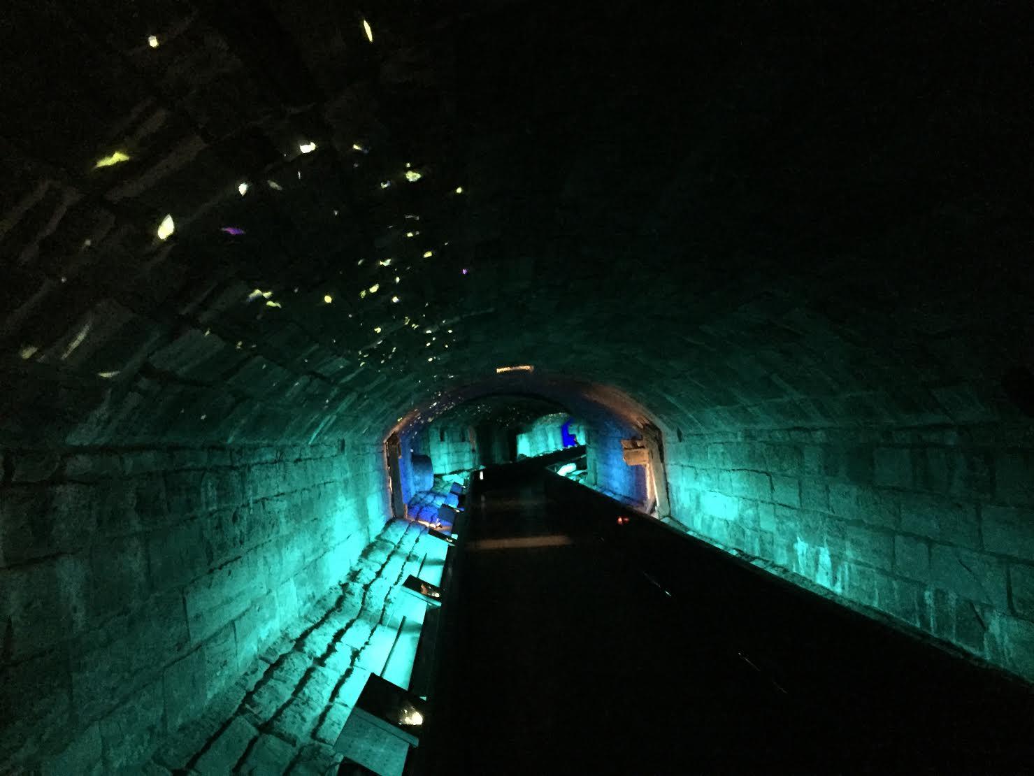 375e de Montréal : le 17 mai en 17 images | Radio-Canada.ca