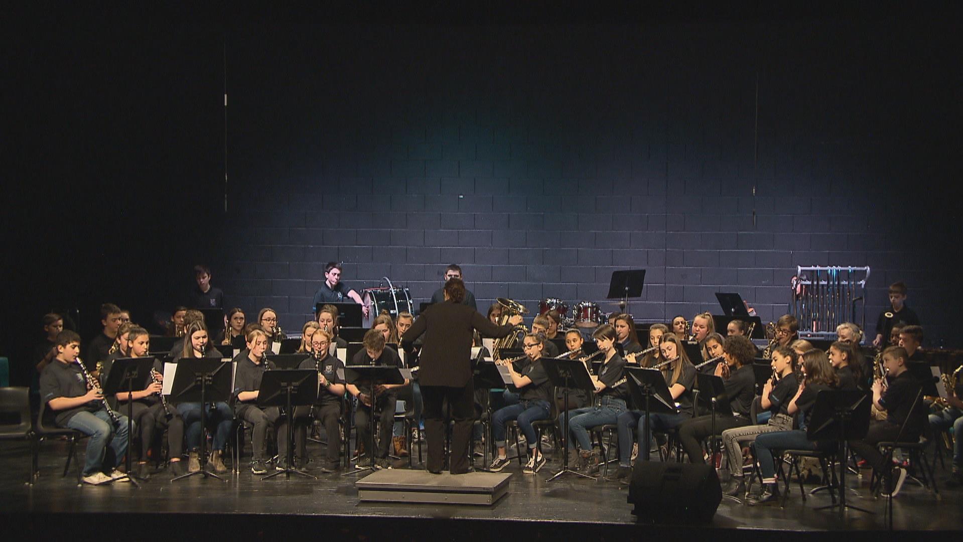 Harmonie pour tous : la musique acadienne mise à l'honneur par 300 ...