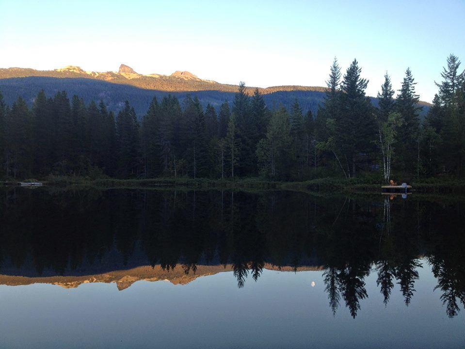 Les poissons rouges envahissent un autre lac | Radio-Canada.ca