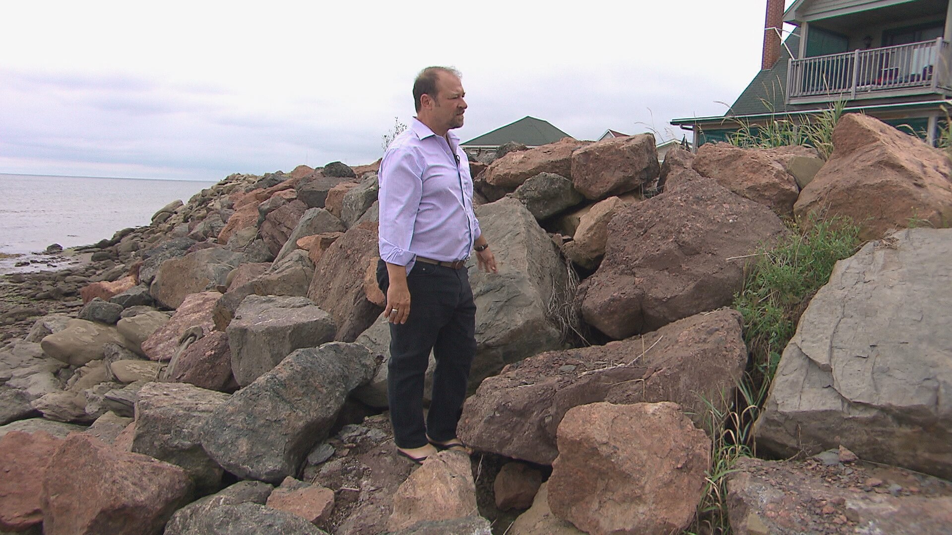 Les effets de l'enrochement des plages sur une hirondelle en danger ...